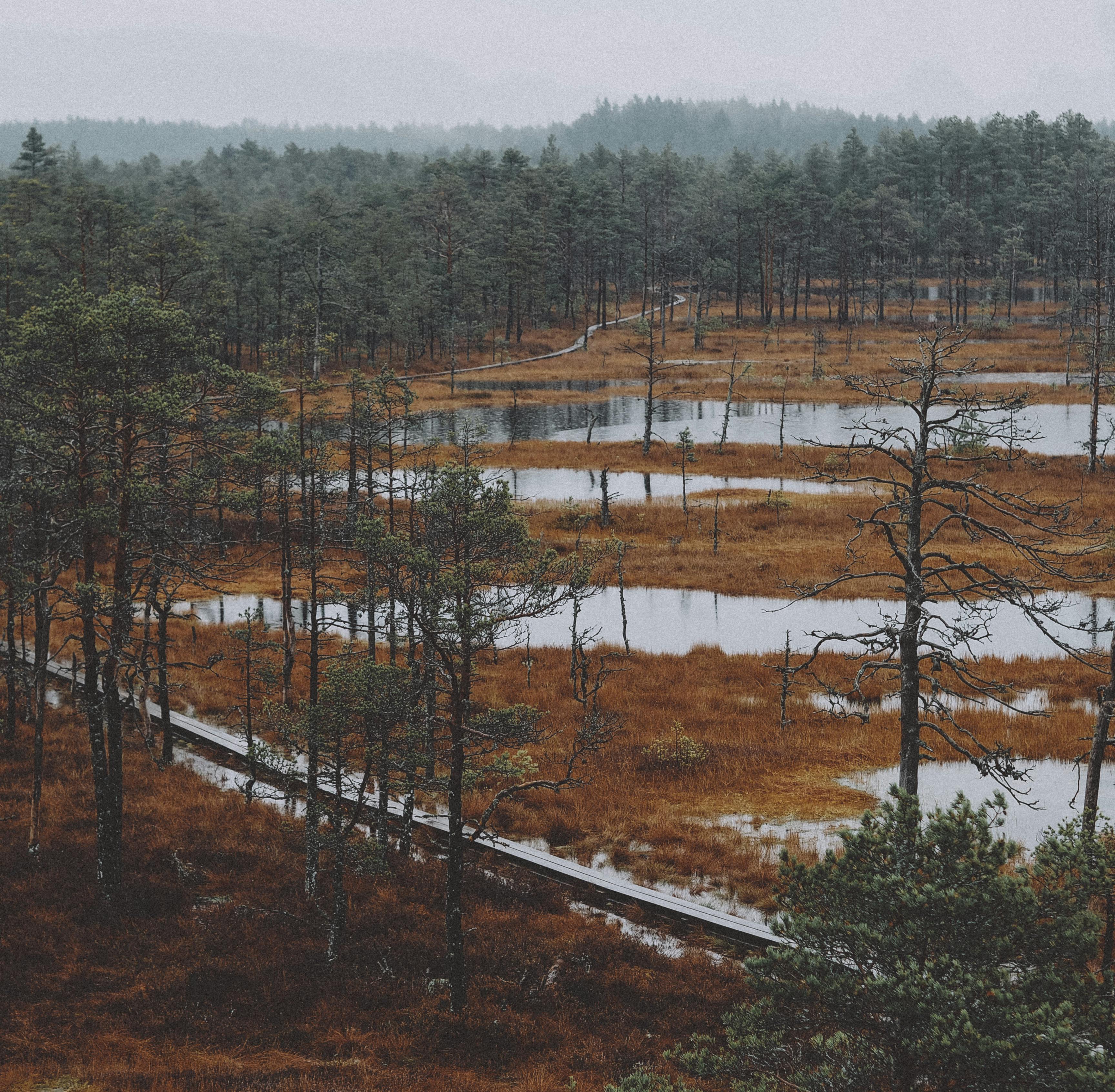 Aerial View on South Mexico Landscape · Free Stock Photo