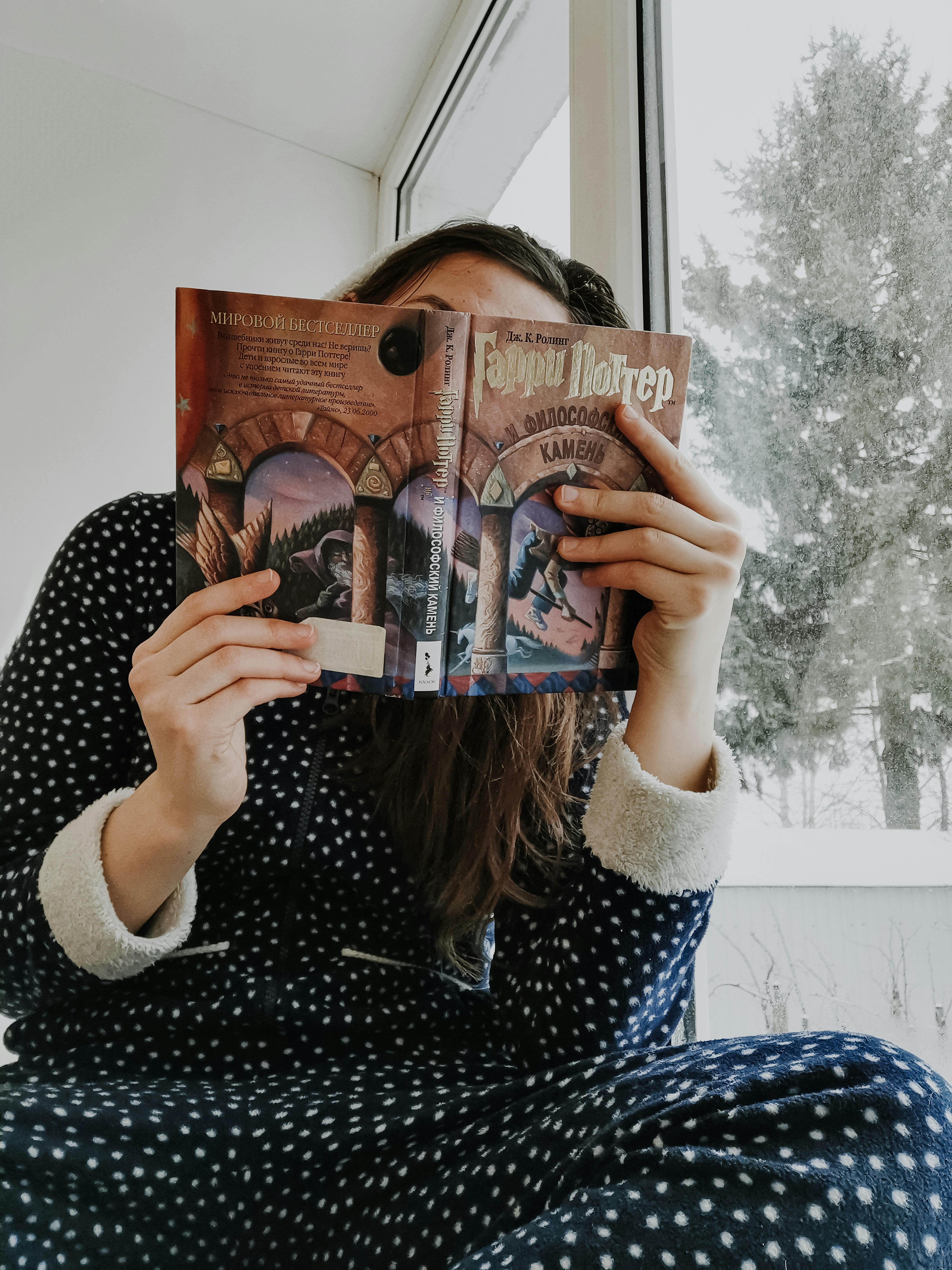 A Woman Reading a Book · Free Stock Photo