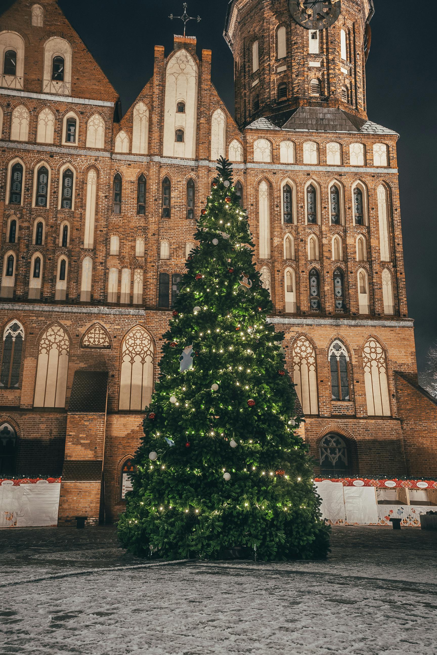 Christmas Tree and Church at Night · Free Stock Photo