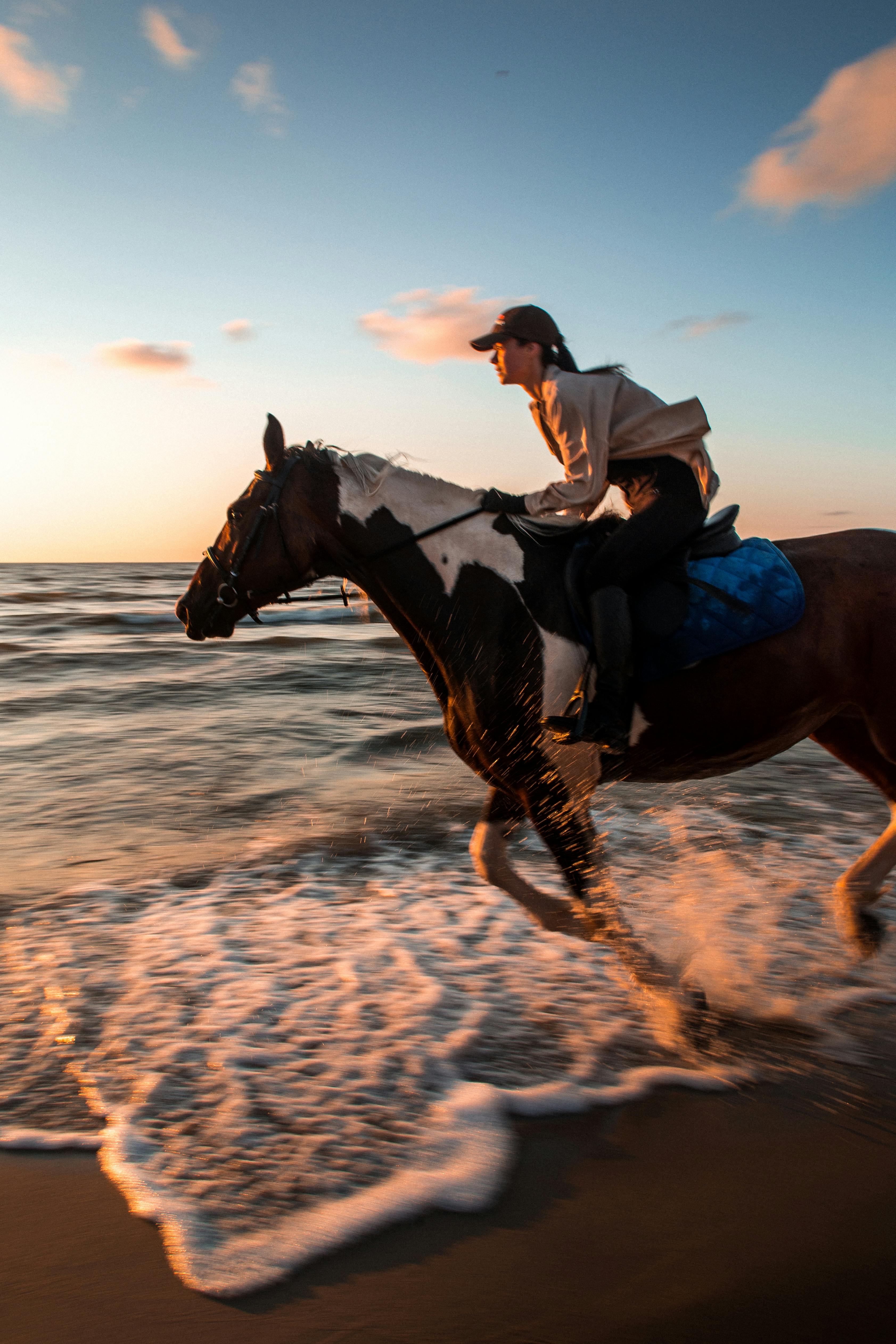 Riding Horse On Beach Photos, Download The BEST Free Riding Horse On ...