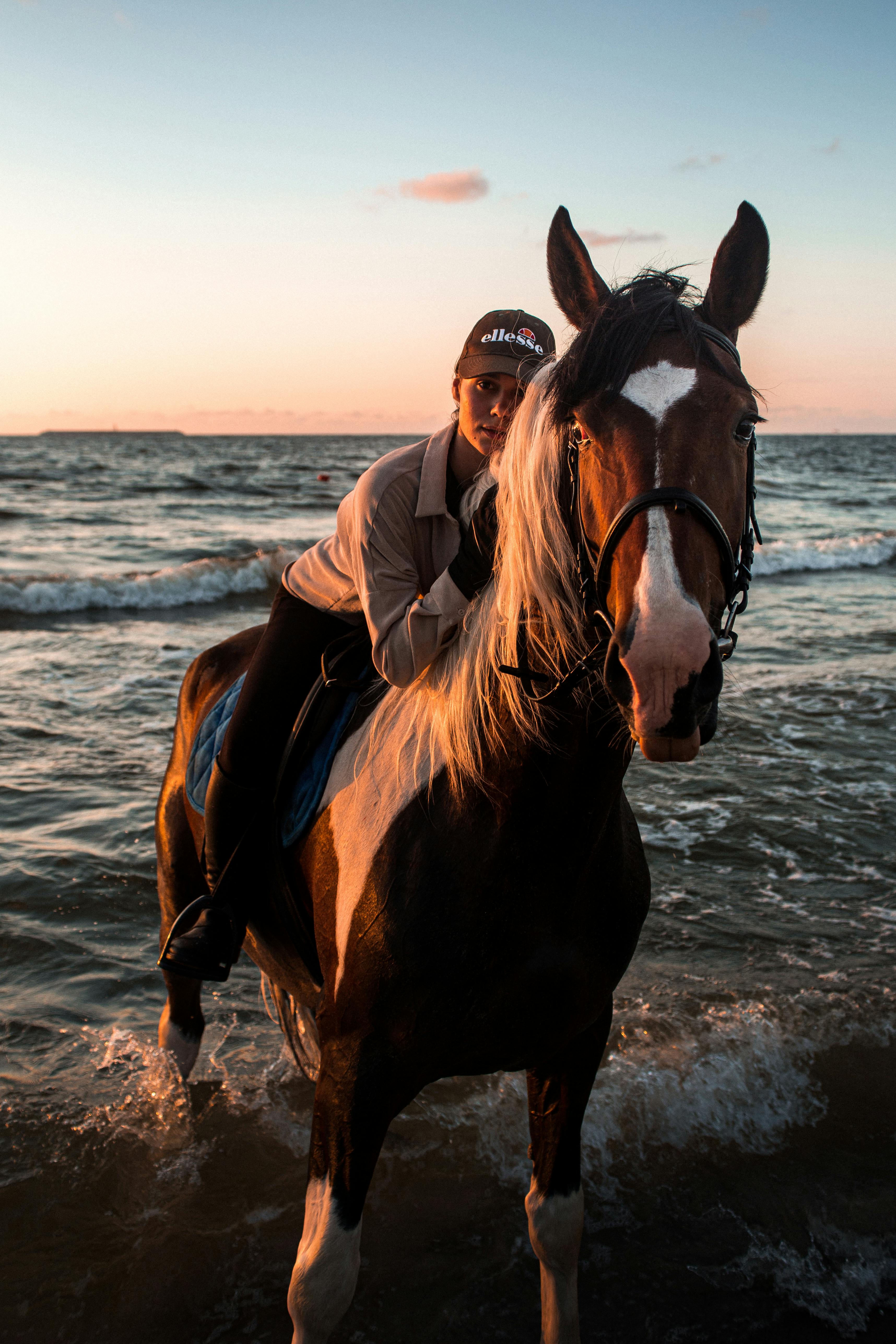 Woman Riding Horse in Sea · Free Stock Photo