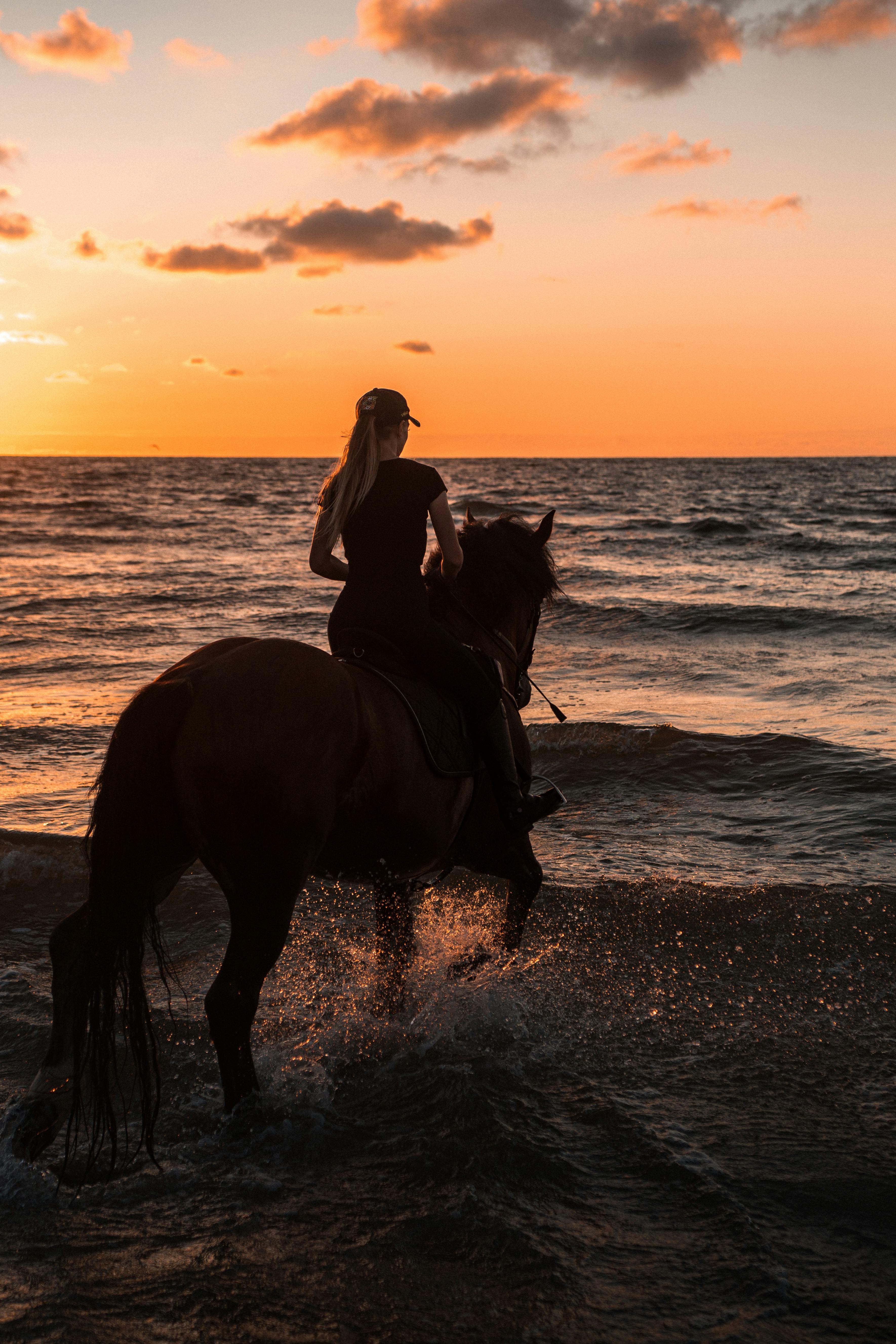 Woman Riding a Horse at the Beach during Sunset · Free Stock Photo