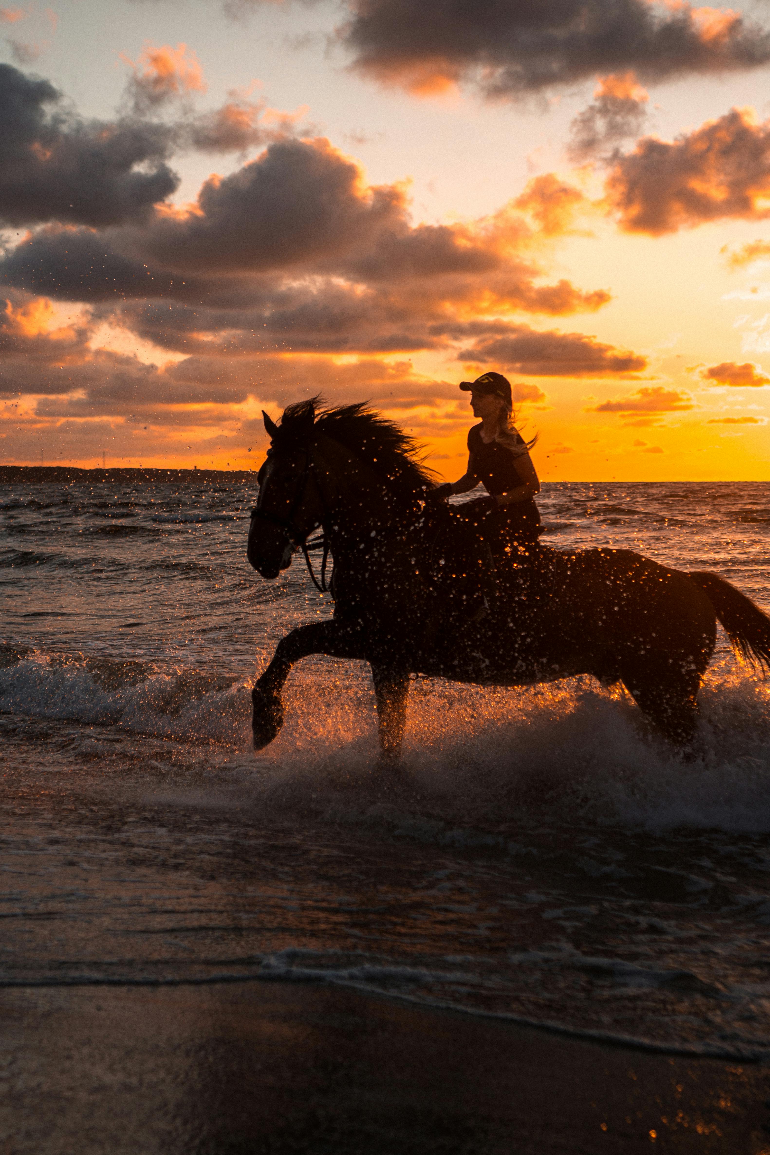 Woman Galloping on Horseback on the Beach at Sunset · Free Stock Photo