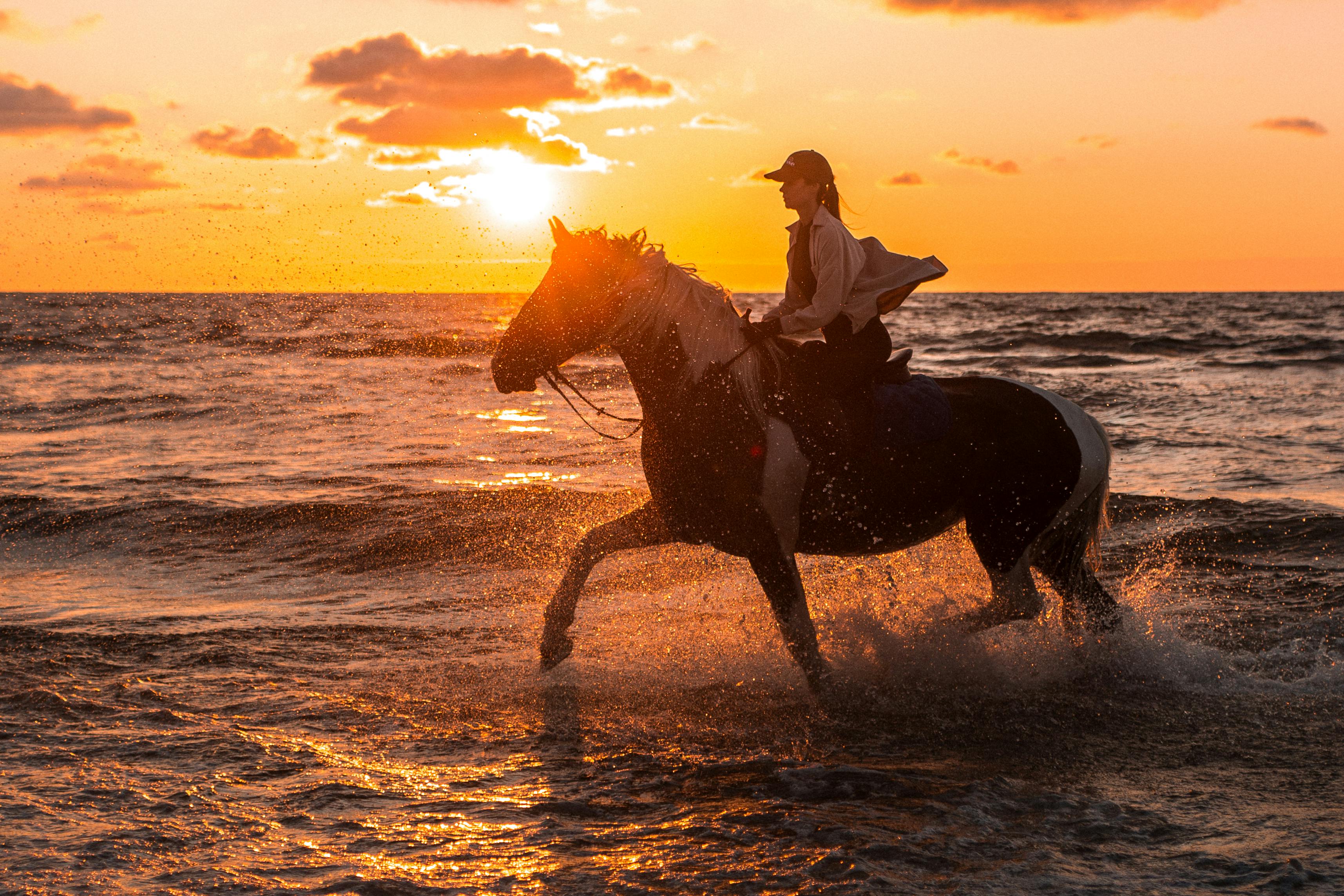 Woman Riding Horse in Sea at Sunset · Free Stock Photo