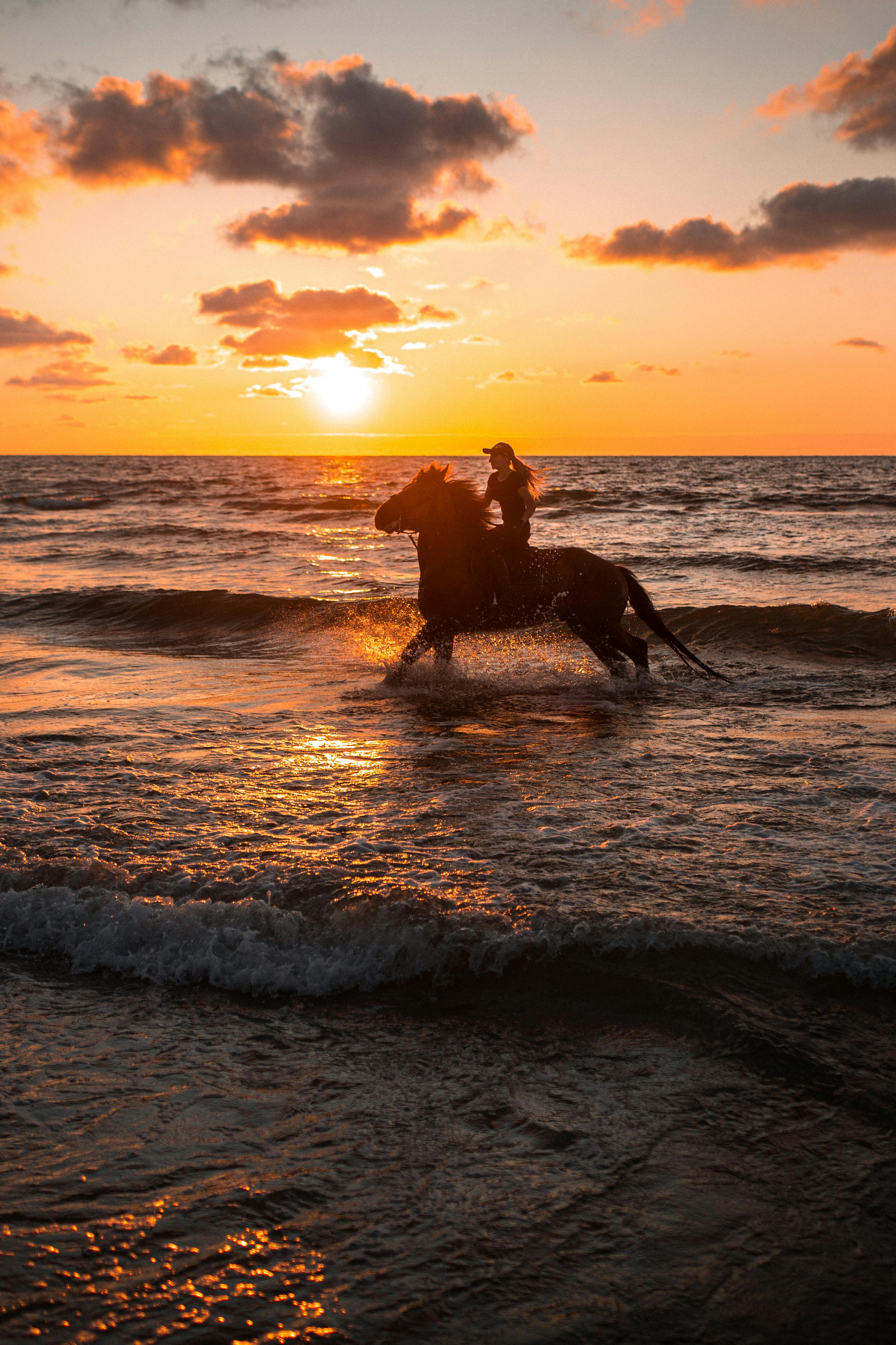Woman Riding Horse in Sea · Free Stock Photo