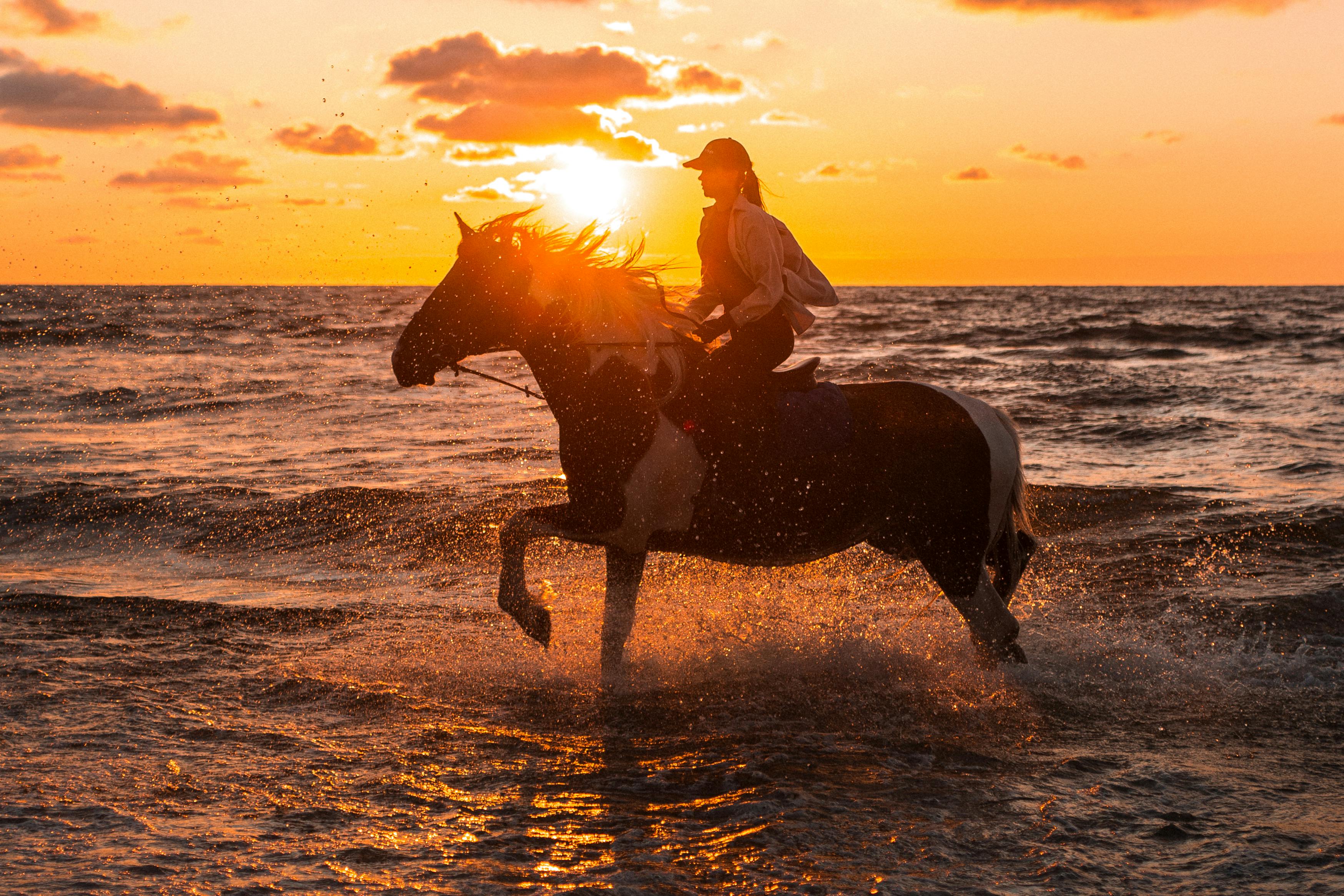 Woman Riding Horse in Sea at Sunset · Free Stock Photo
