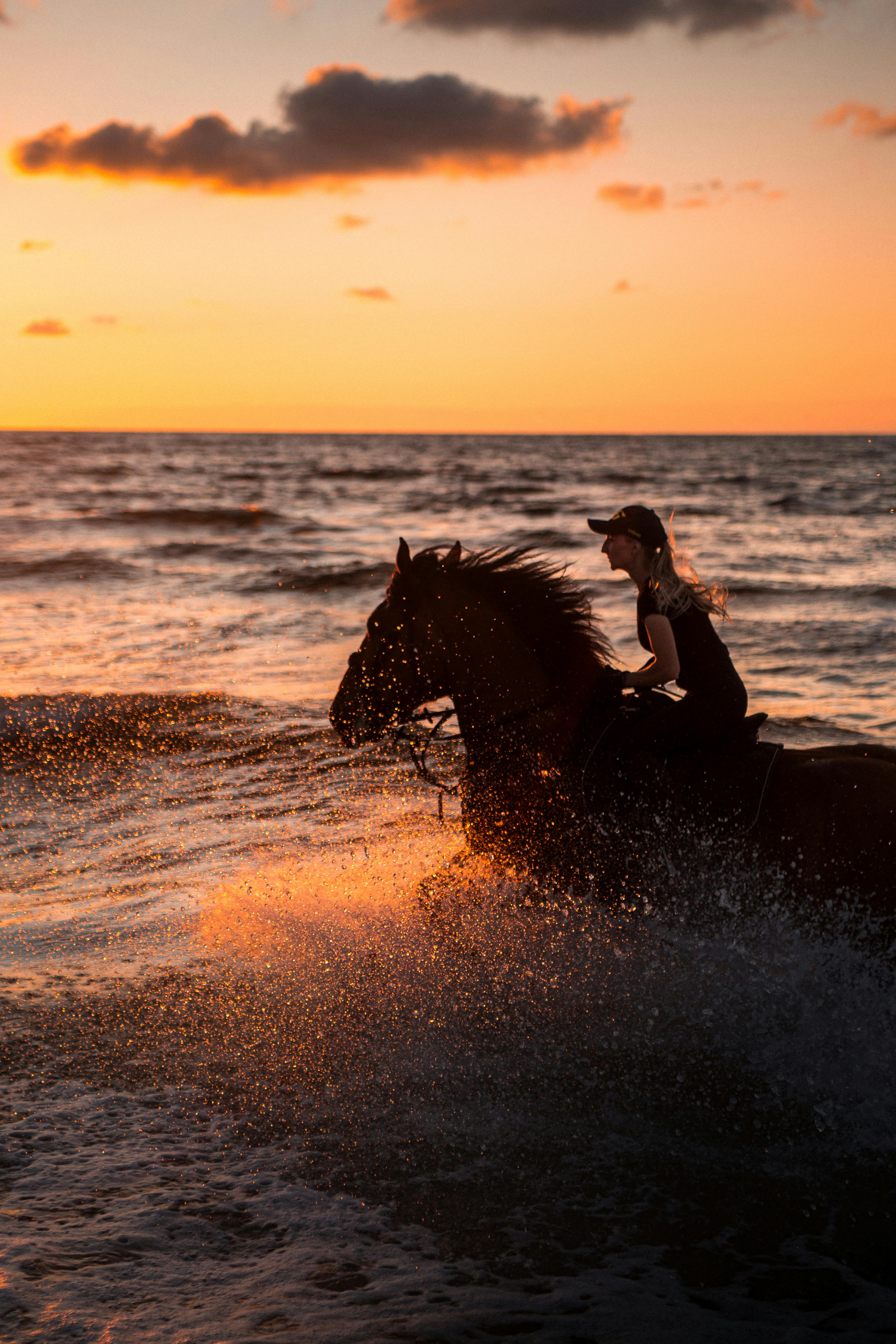 Woman Riding a Horse at the Beach during Sunset · Free Stock Photo