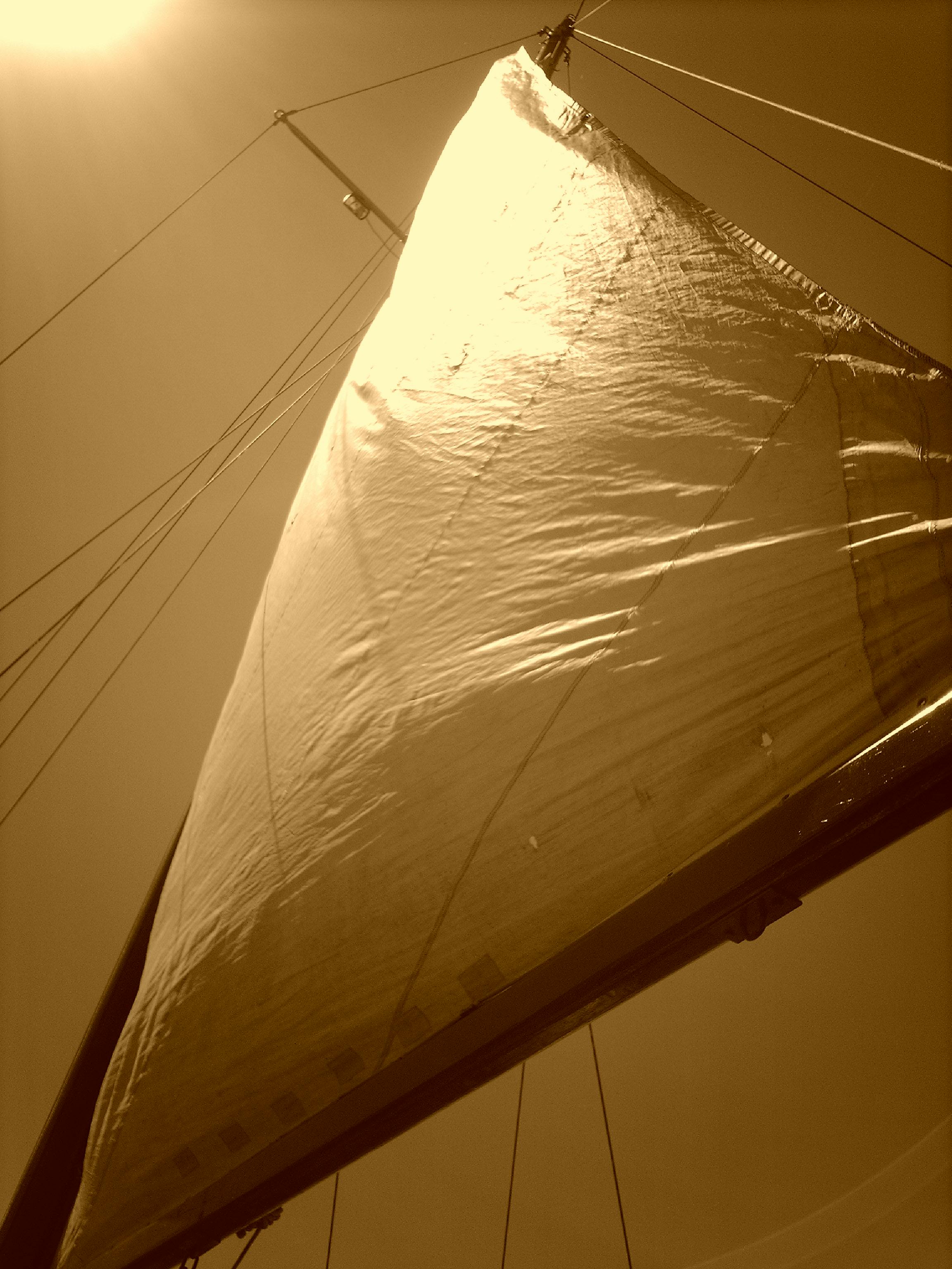 Shaparak Shamshiri - Fotografía