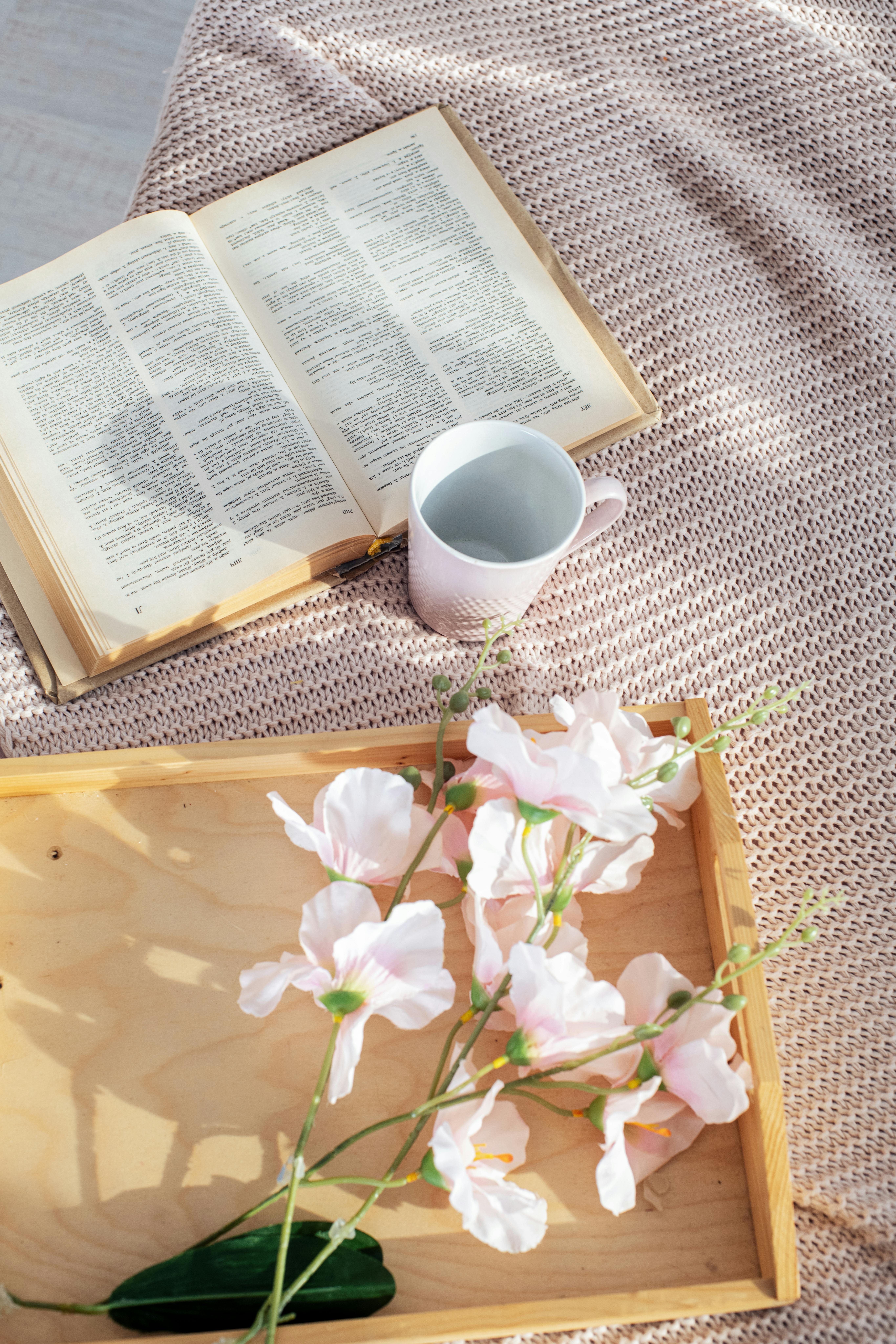 An Open Book beside a Mug · Free Stock Photo