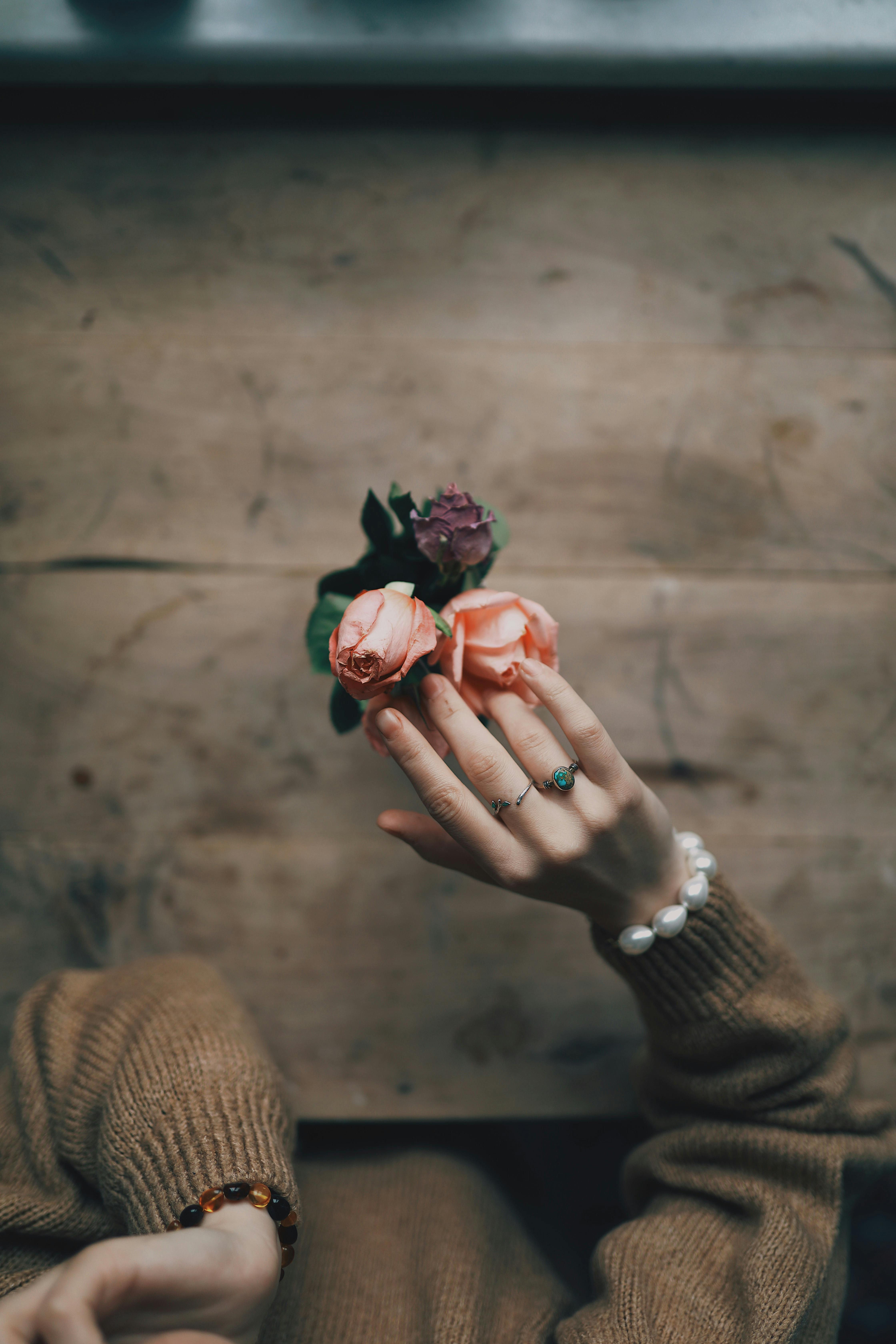 Hand Holding Roses Photos, Download The BEST Free Hand Holding Roses ...