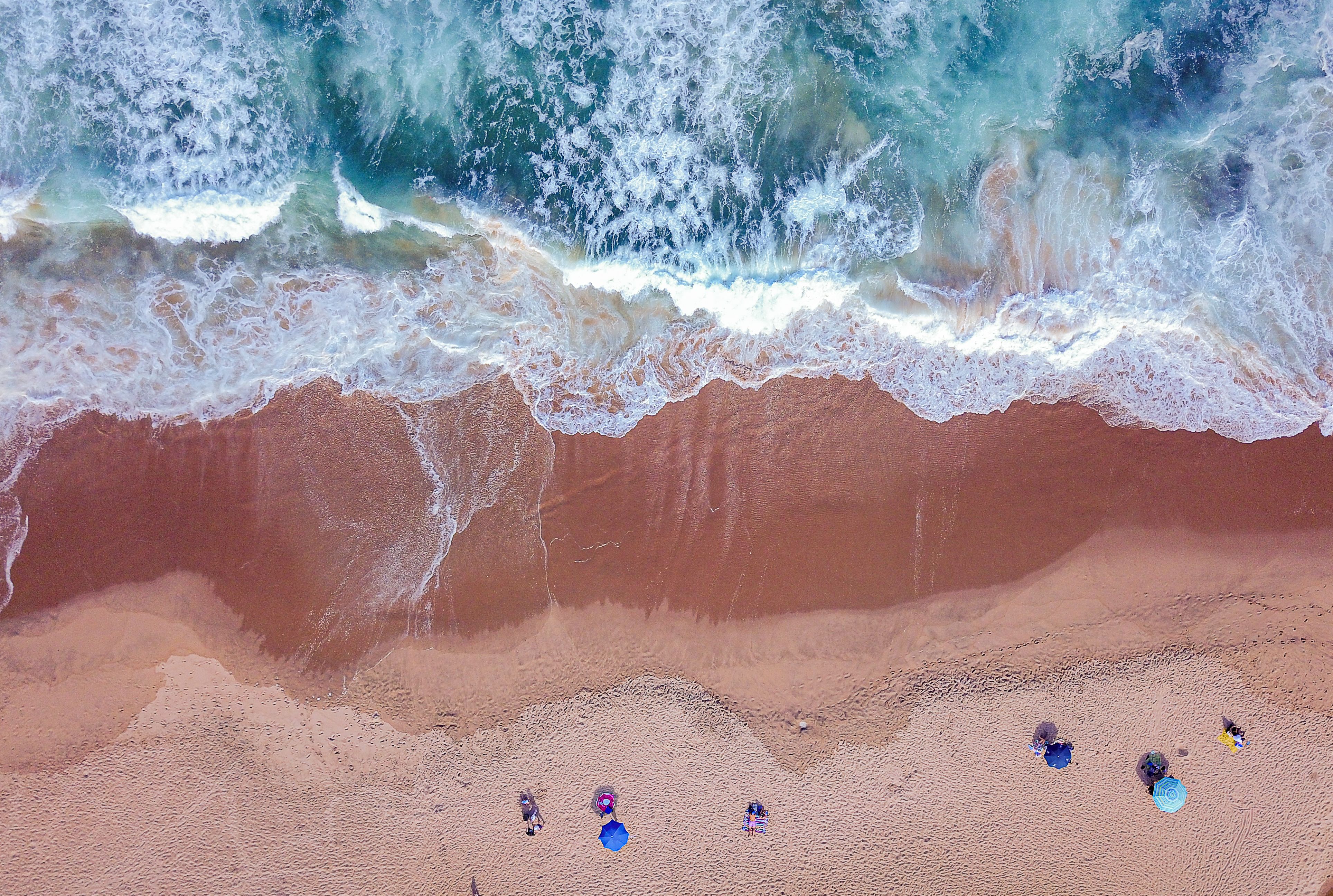 Top View of Dolphin Coast in South Africa · Free Stock Photo