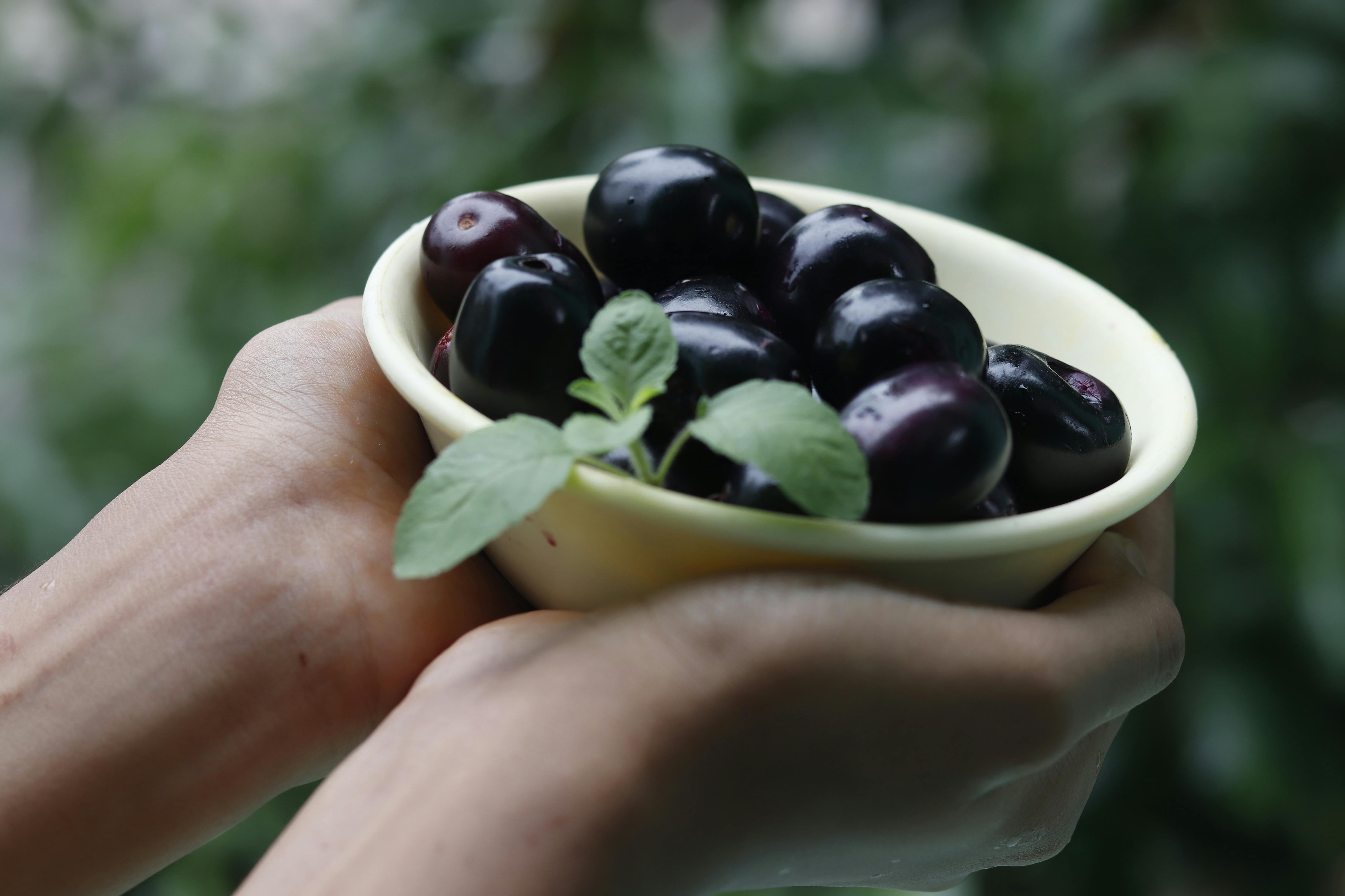 A Java Plums in the Bowl · Free Stock Photo