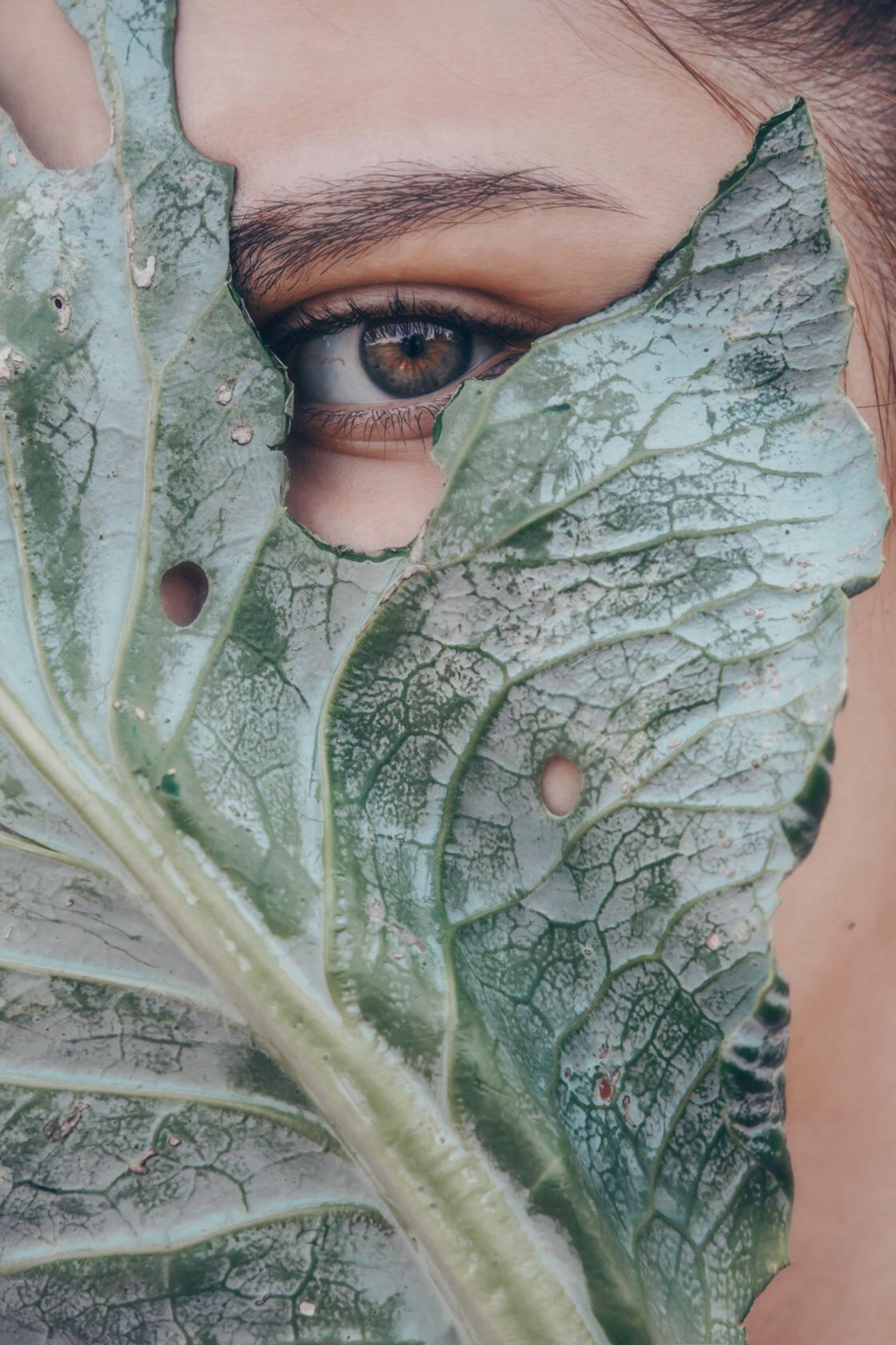Leaf on Woman Face · Free Stock Photo
