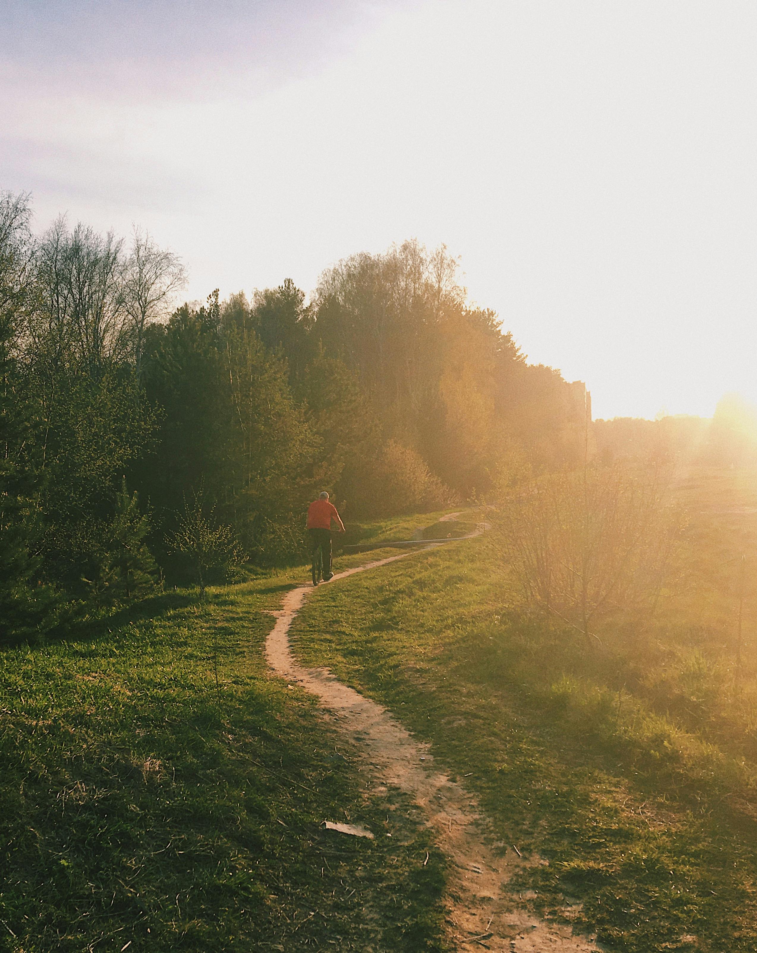 Green Grass Field With Trees · Free Stock Photo
