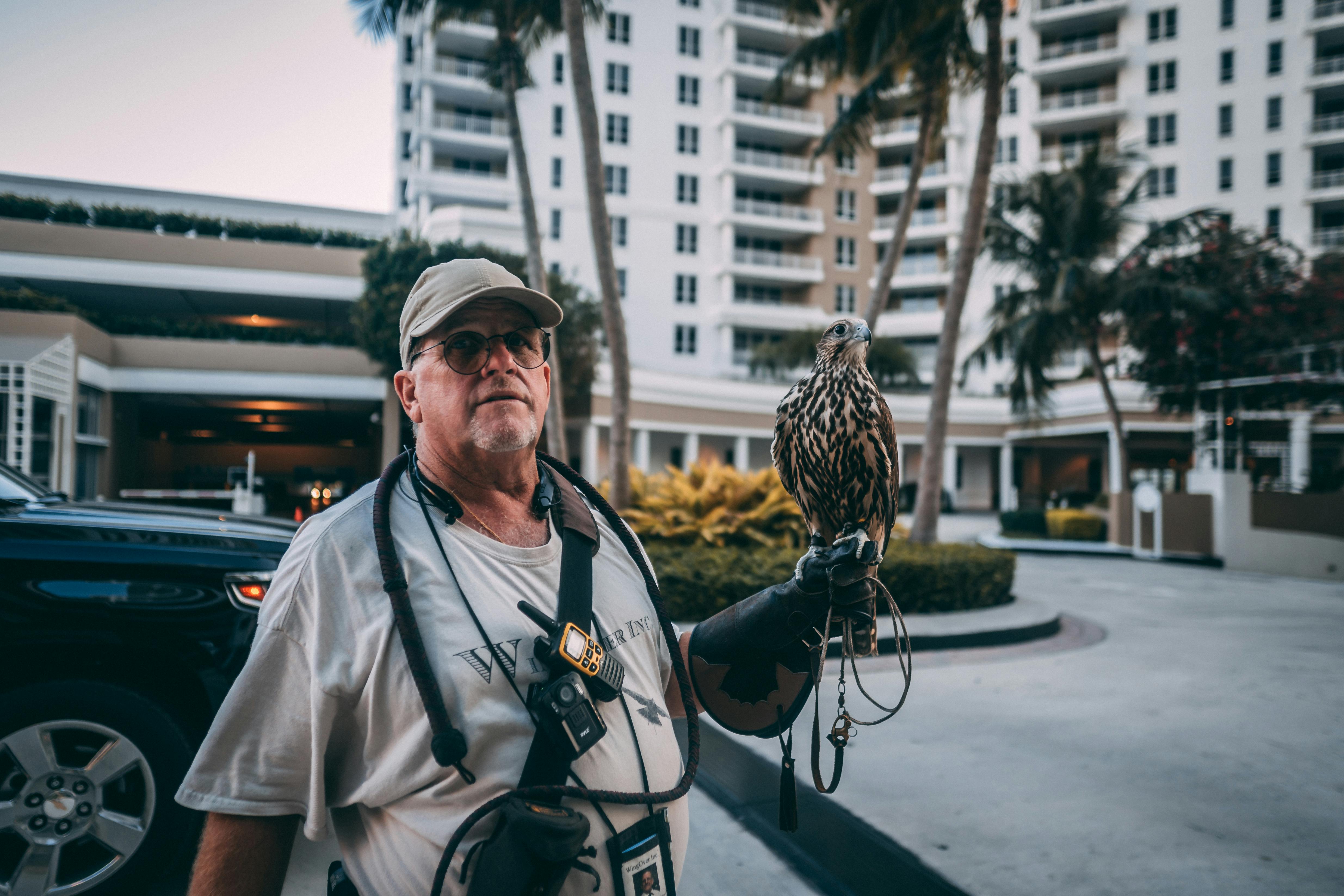 Hawks Cars Photos, Download The BEST Free Hawks Cars Stock Photos & HD ...