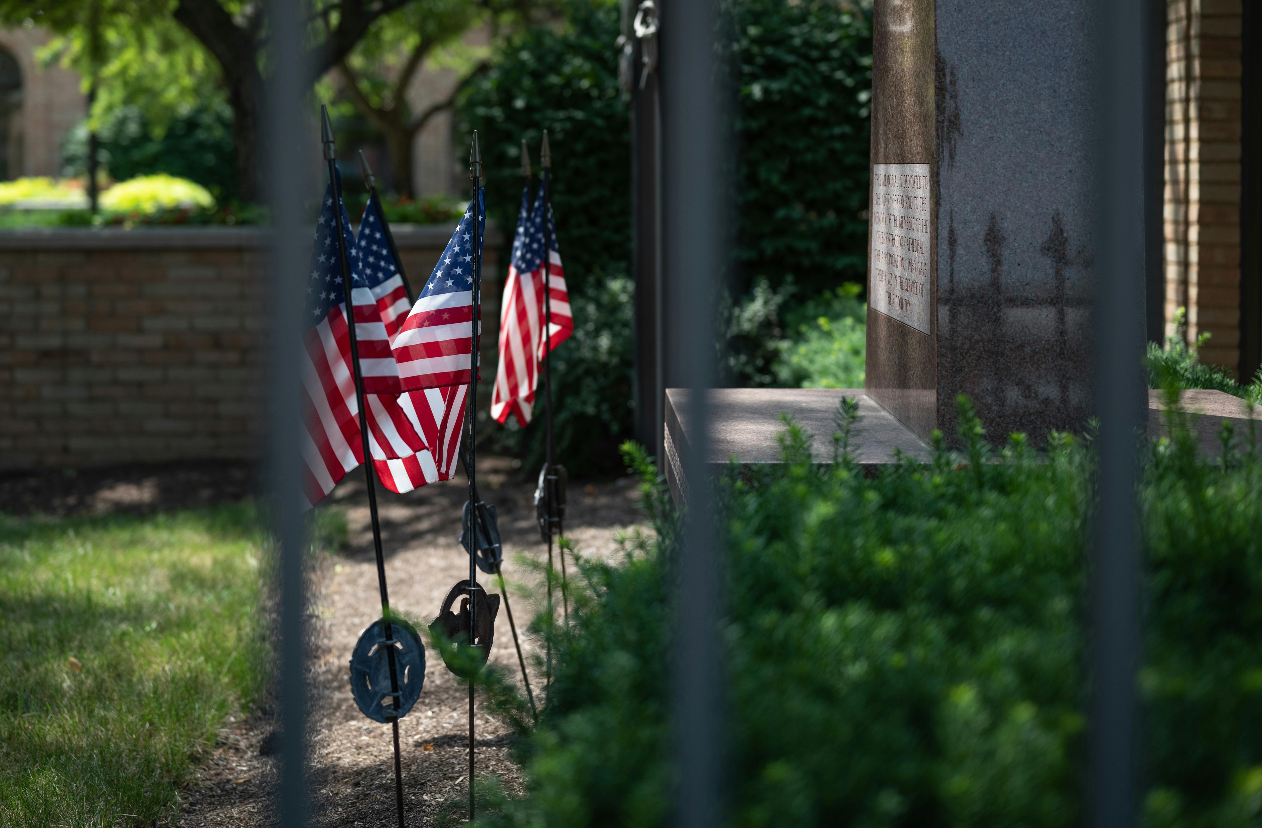 American Flaglets on the Grass · Free Stock Photo
