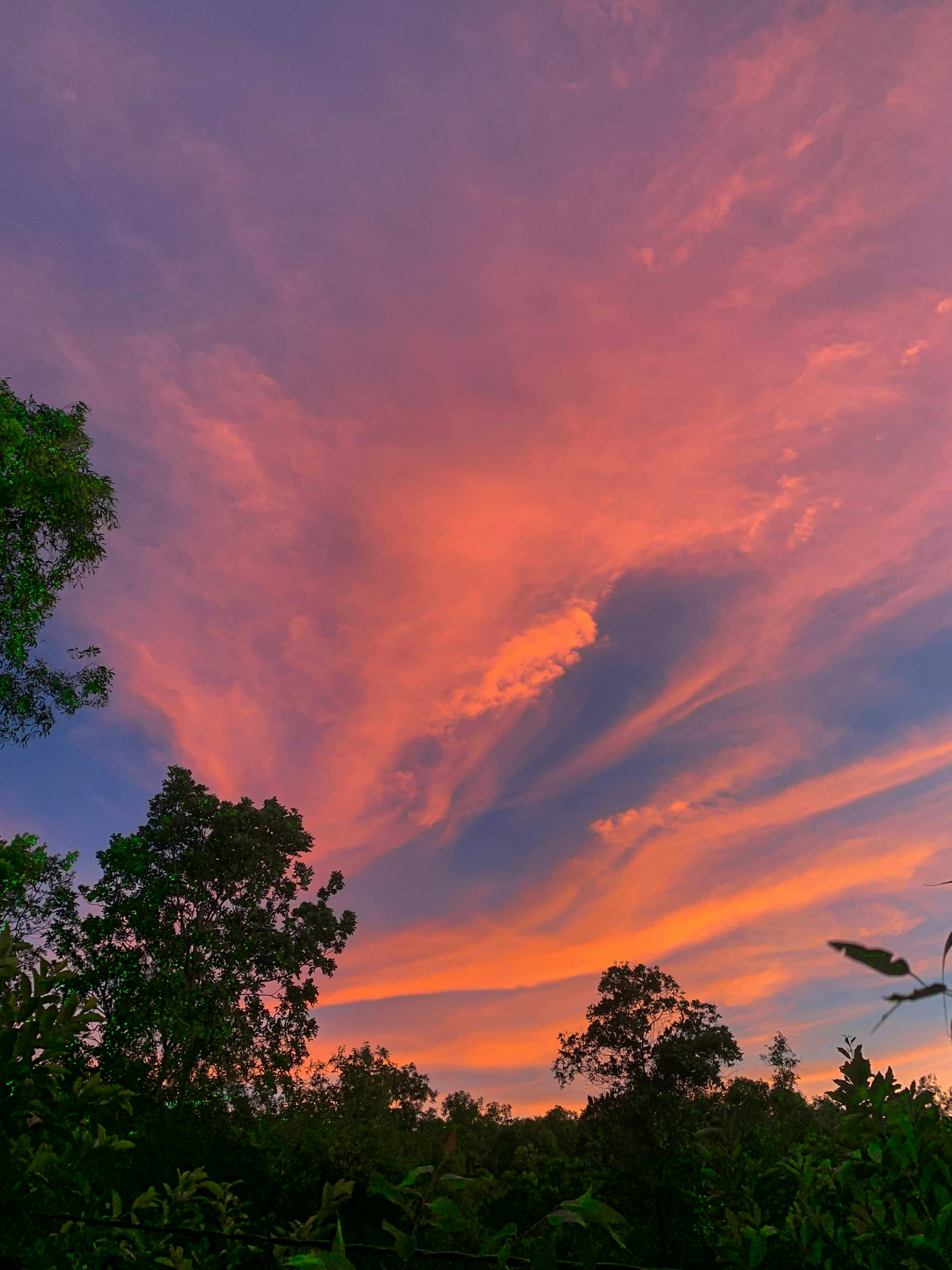 Ethan Nguyen - 写真