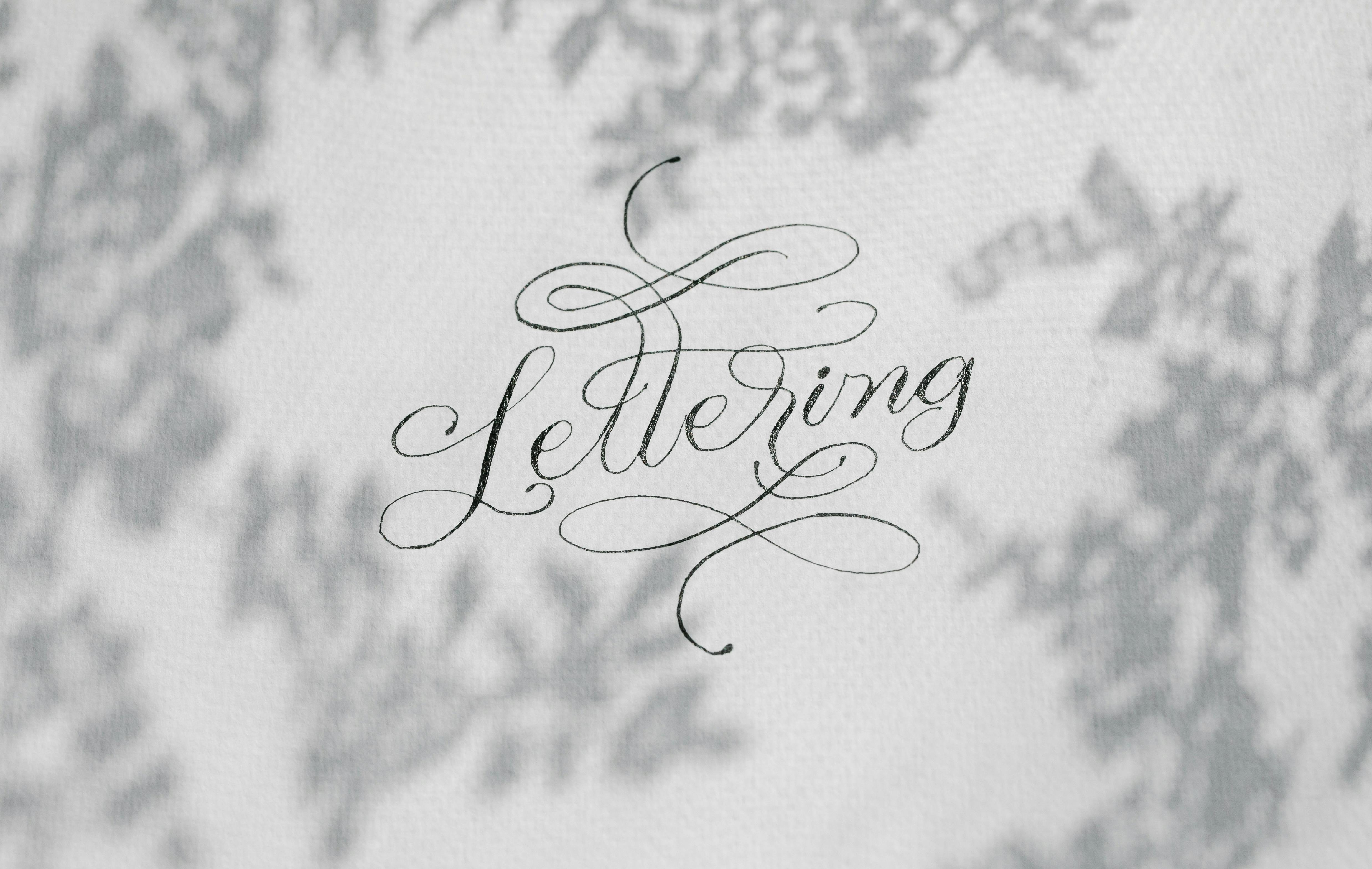 Cursing Text Written on the White Paper with Shadows of Leaves · Free ...