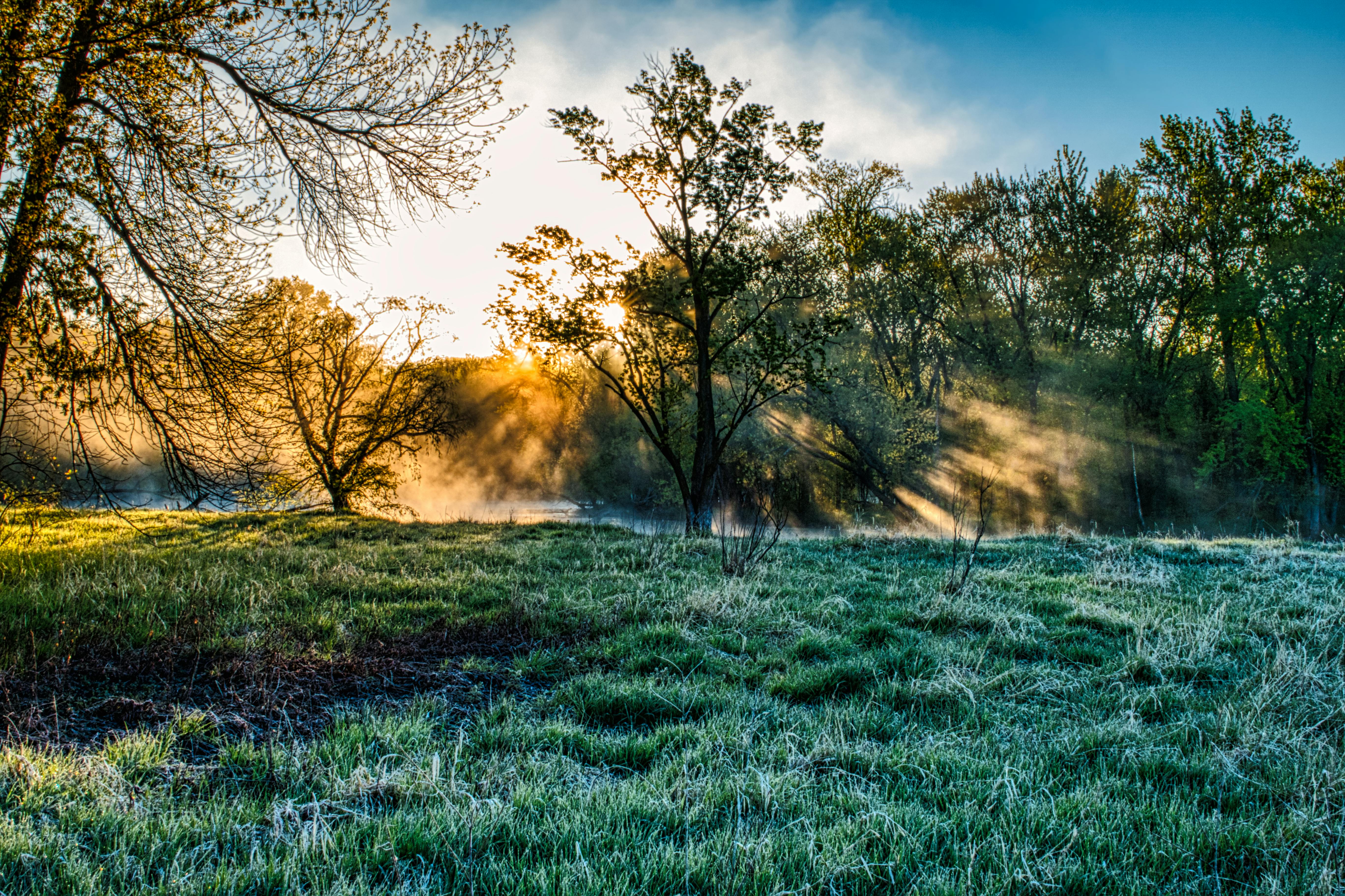 Grass Field and Trees During Sunrise · Free Stock Photo