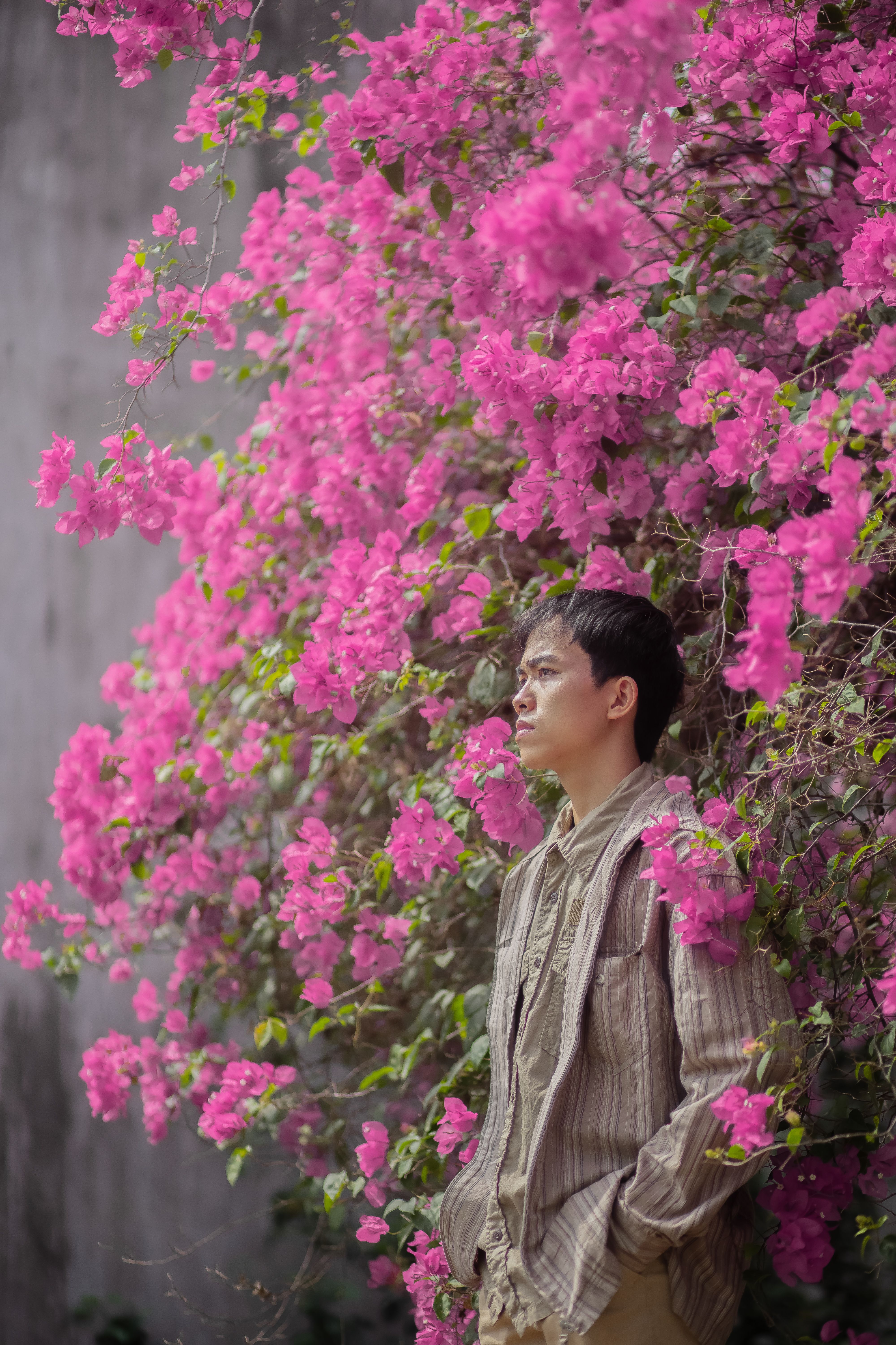 A Man Standing With Pink Flowers · Free Stock Photo