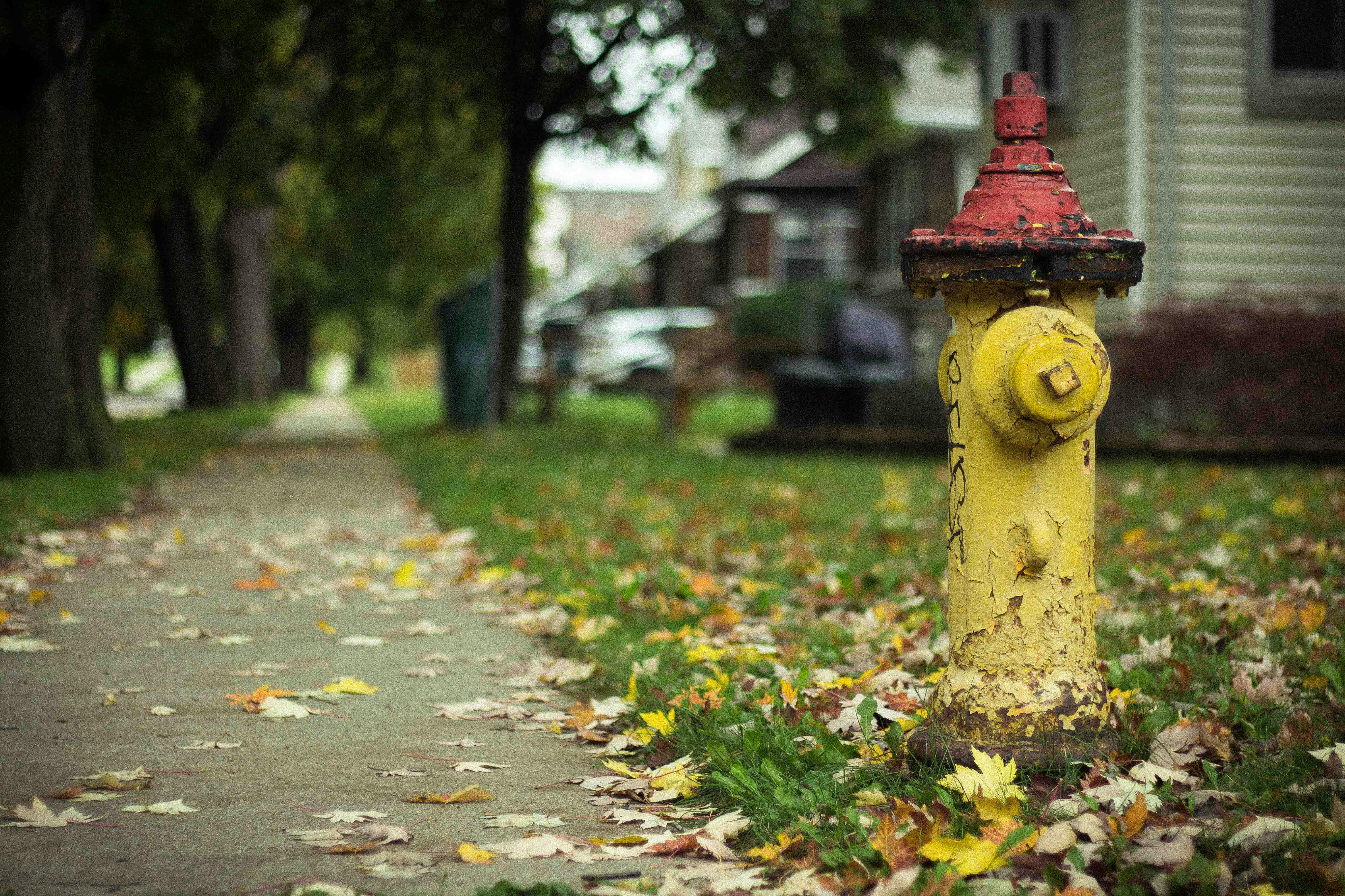 A Fire Hydrant on a Sidewalk · Free Stock Photo