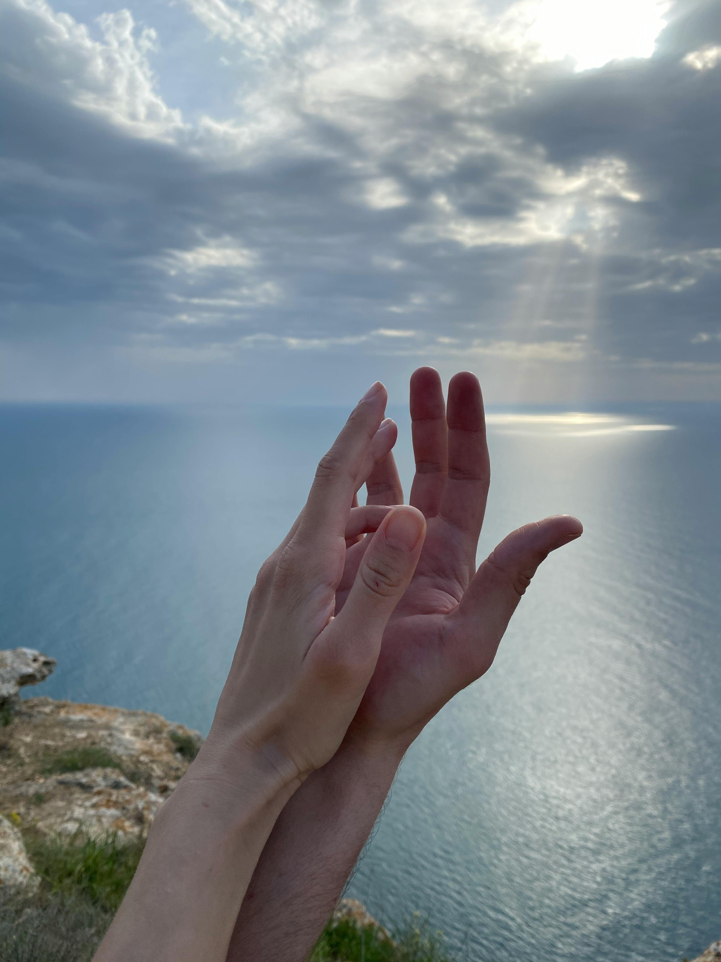 Selective Focus Photo of Person's Left Hand · Free Stock Photo