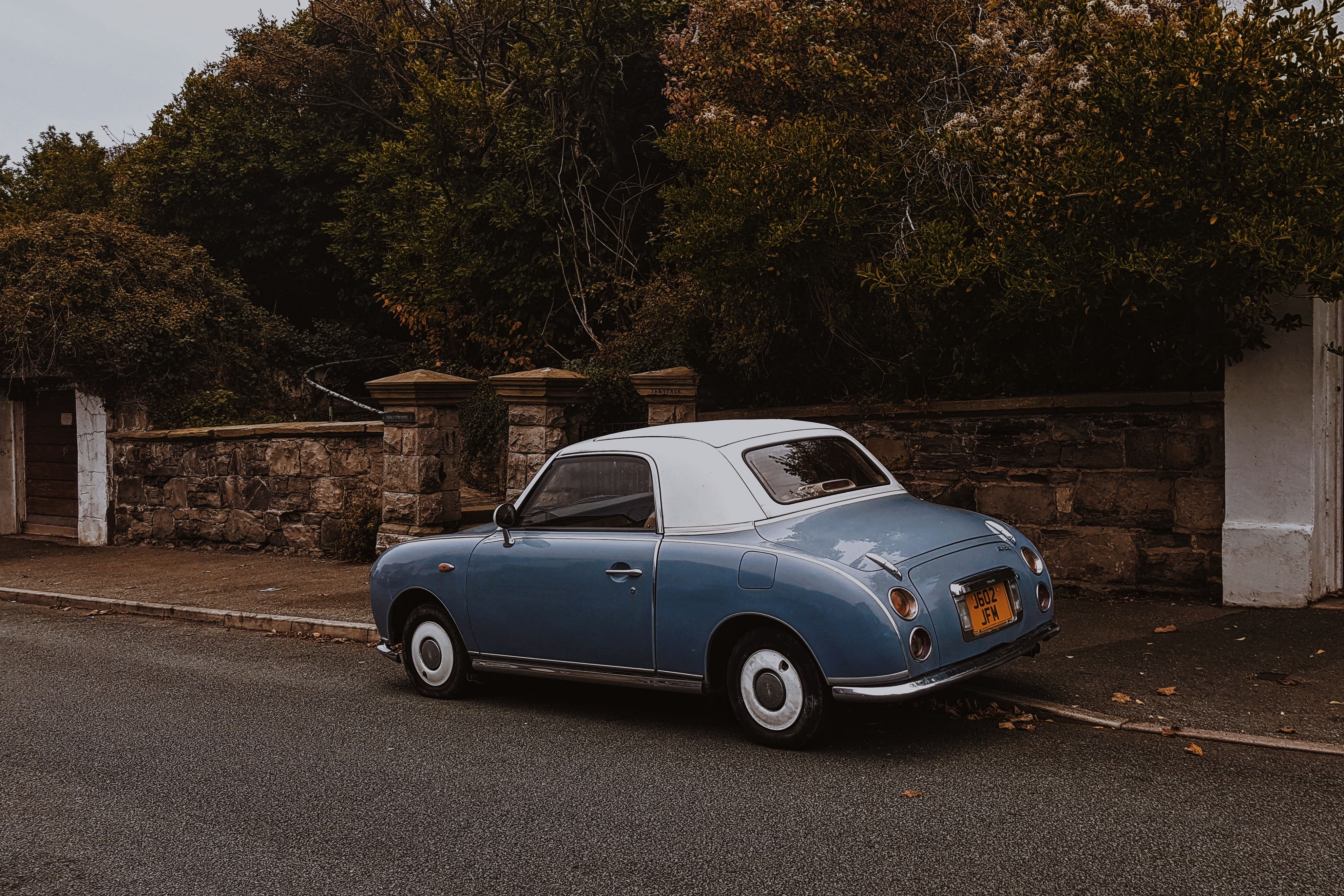 Blue Vintage Car under the Jacaranda Tree · Free Stock Photo