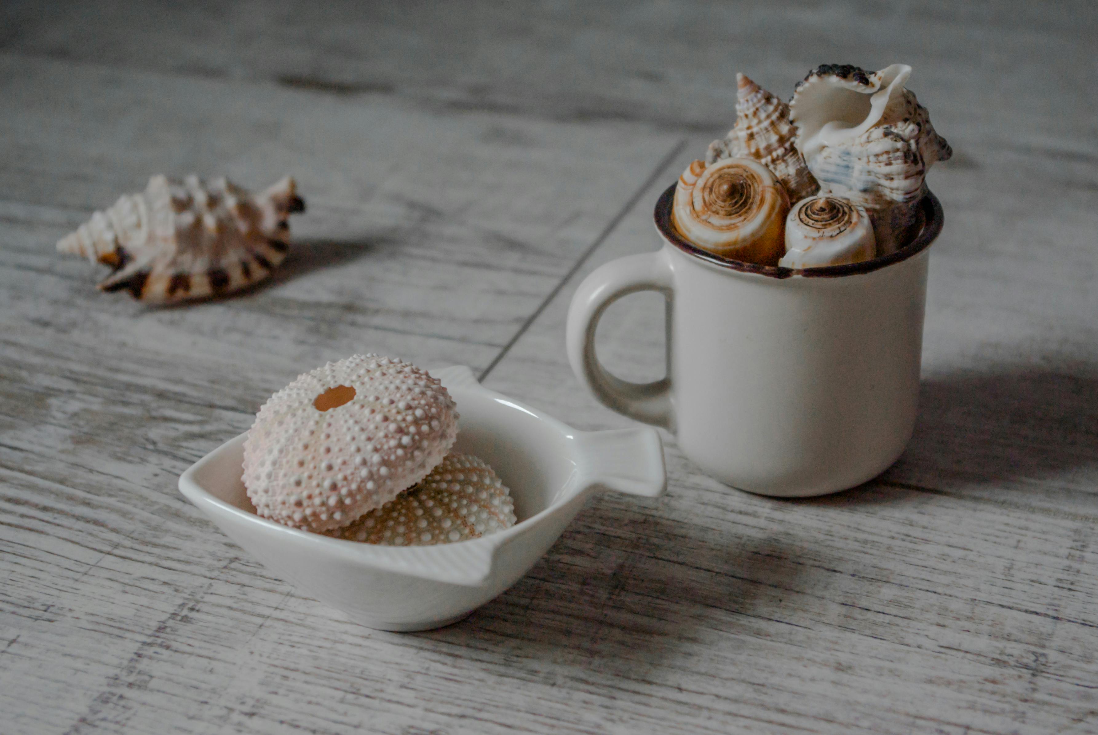 Cup and Bowl Full of Seashells · Free Stock Photo