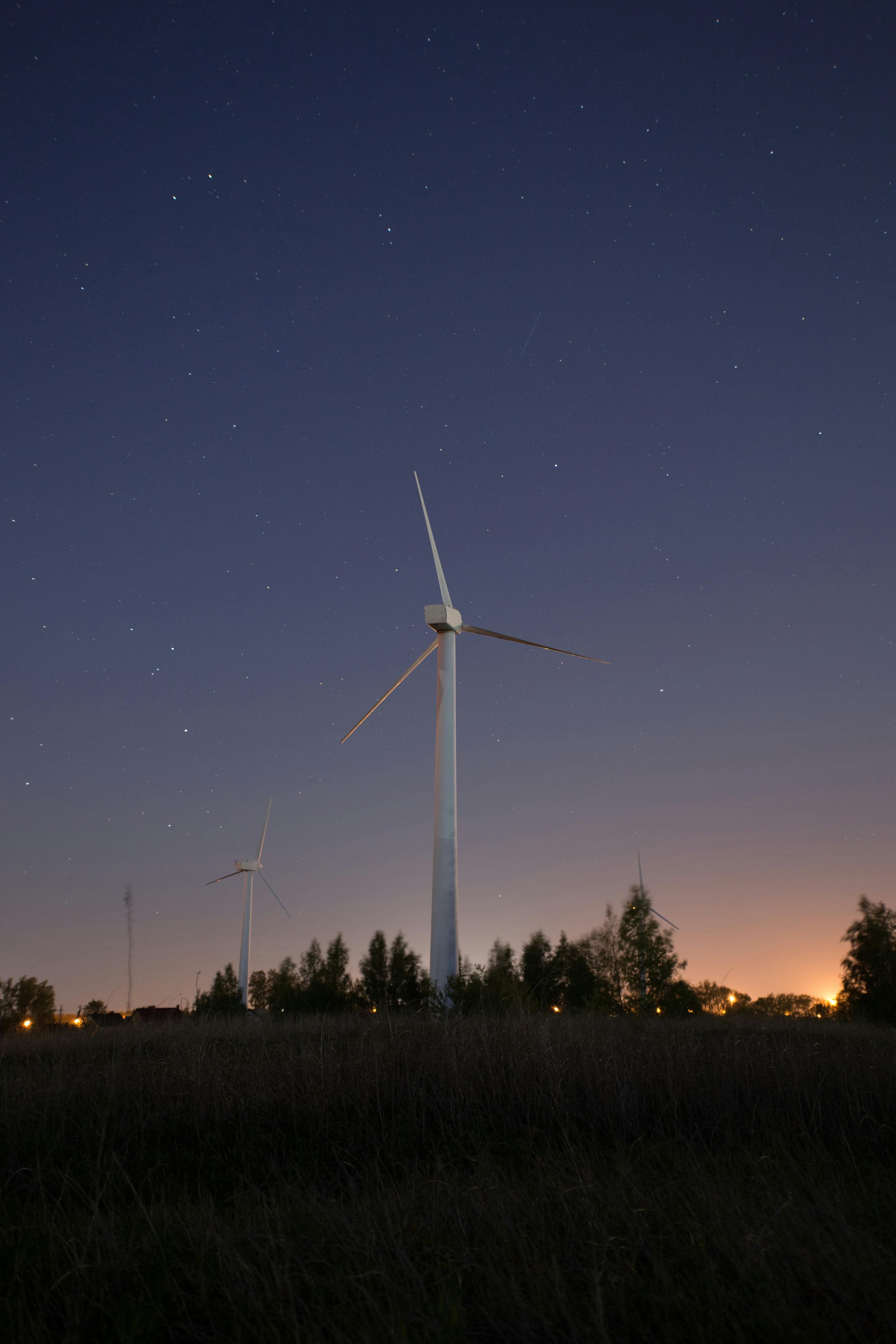 Sustainability Trees Photos, Download The BEST Free Sustainability ...