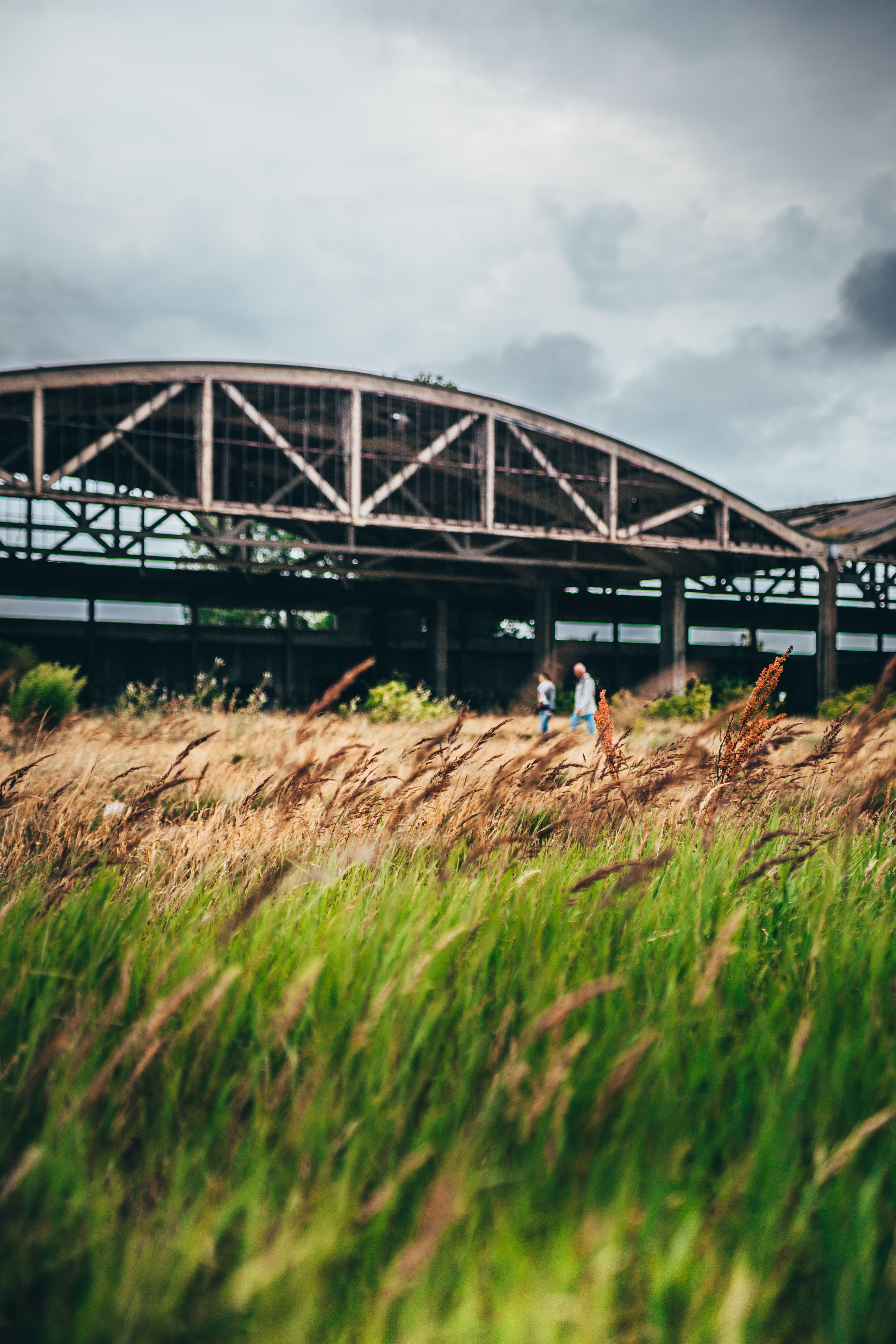 Brown and Green Grass Near a Covered Building · Free Stock Photo