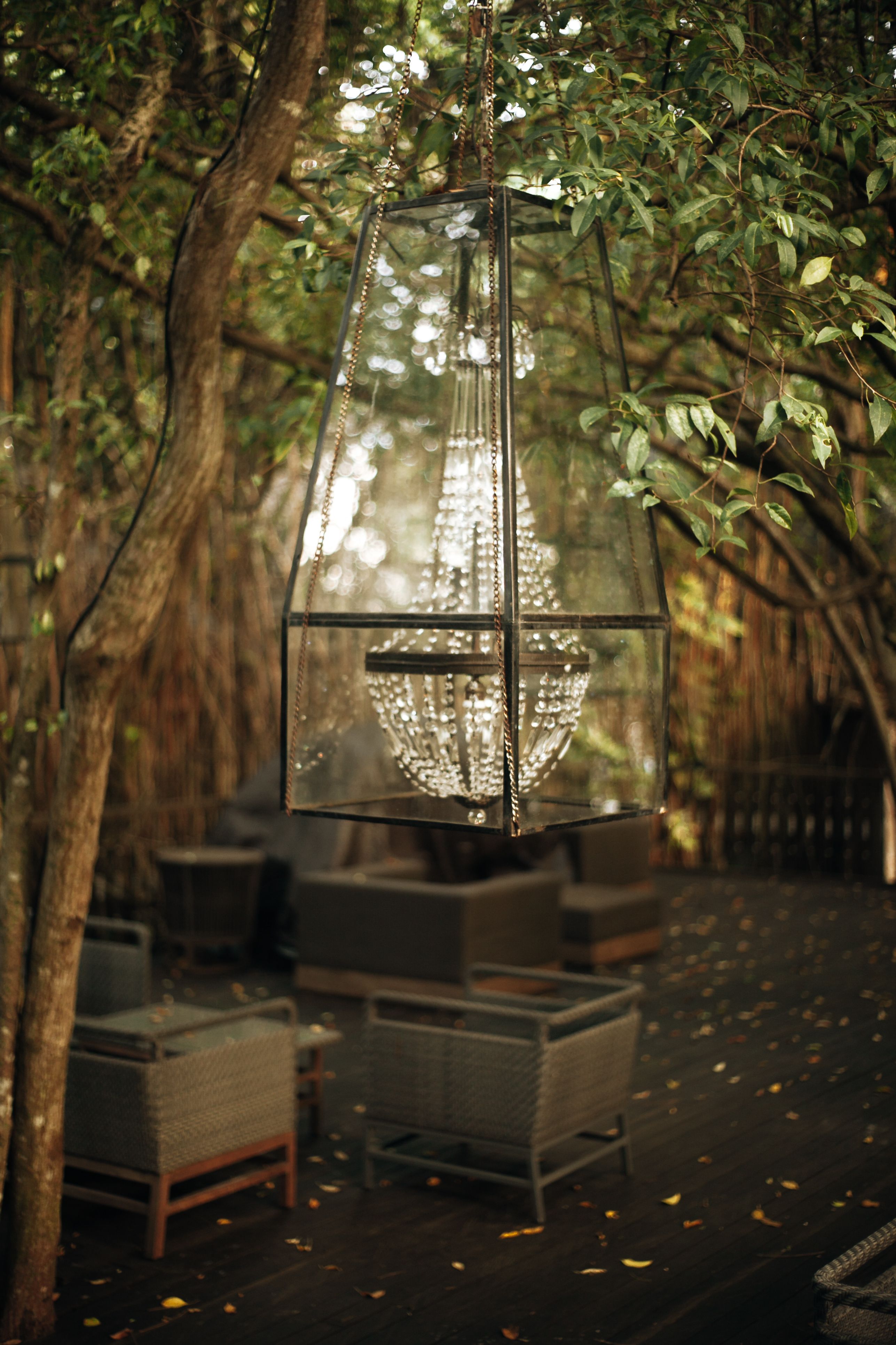 Retro Wooden Lamps Hanging on Tree at Night · Free Stock Photo