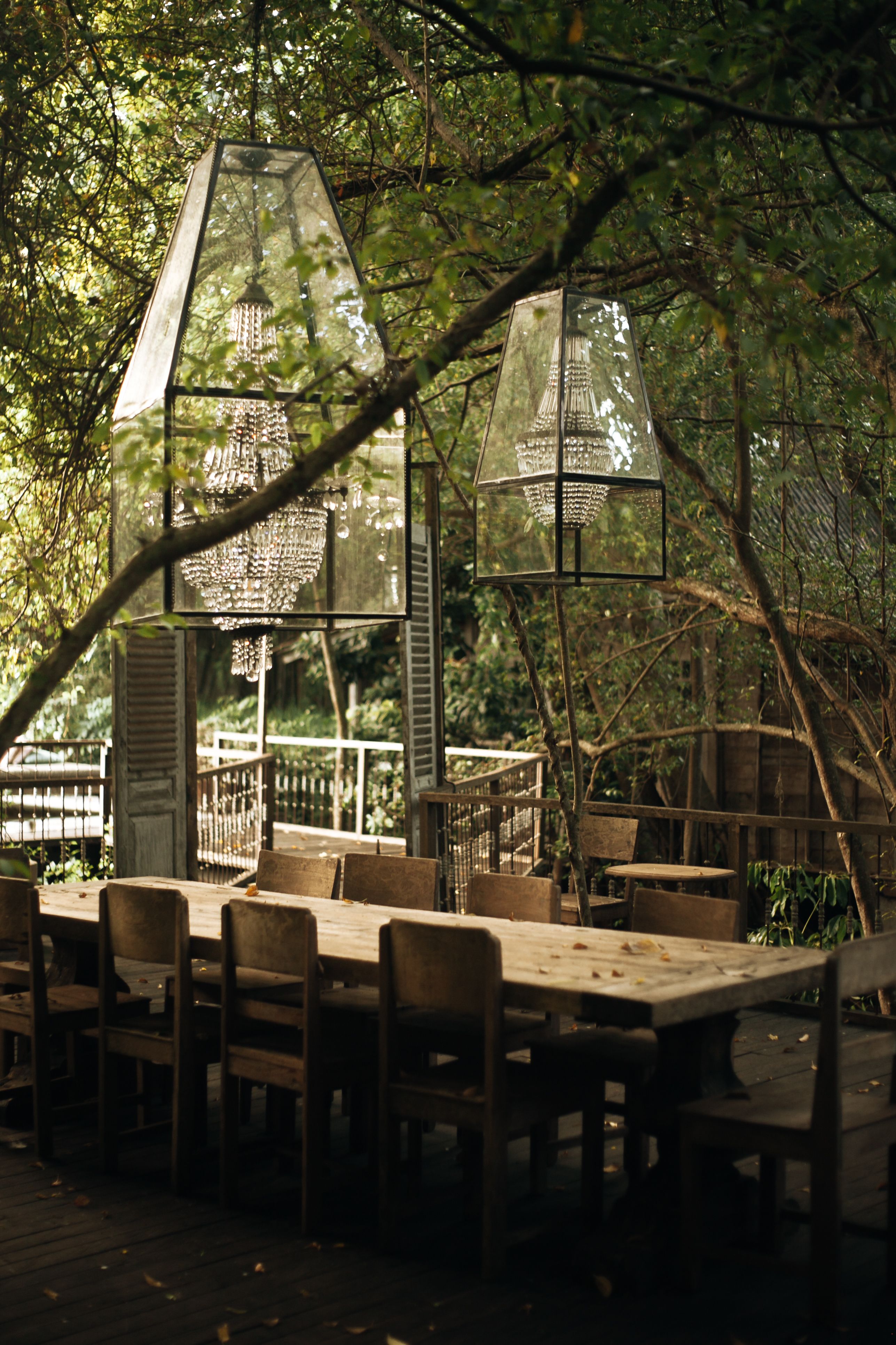 Dining In Nature Photos, Download The BEST Free Dining In Nature Stock ...