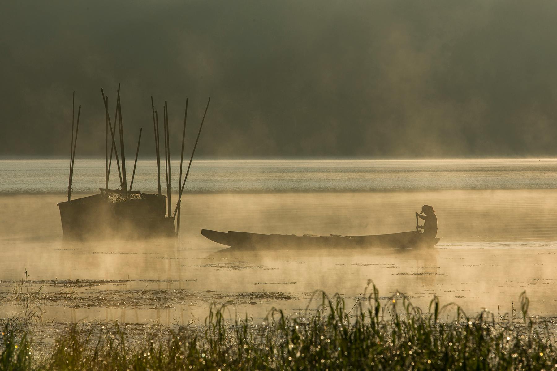 30,000+ Best Boat Mist Photos · 100% Free Download · Pexels Stock Photos