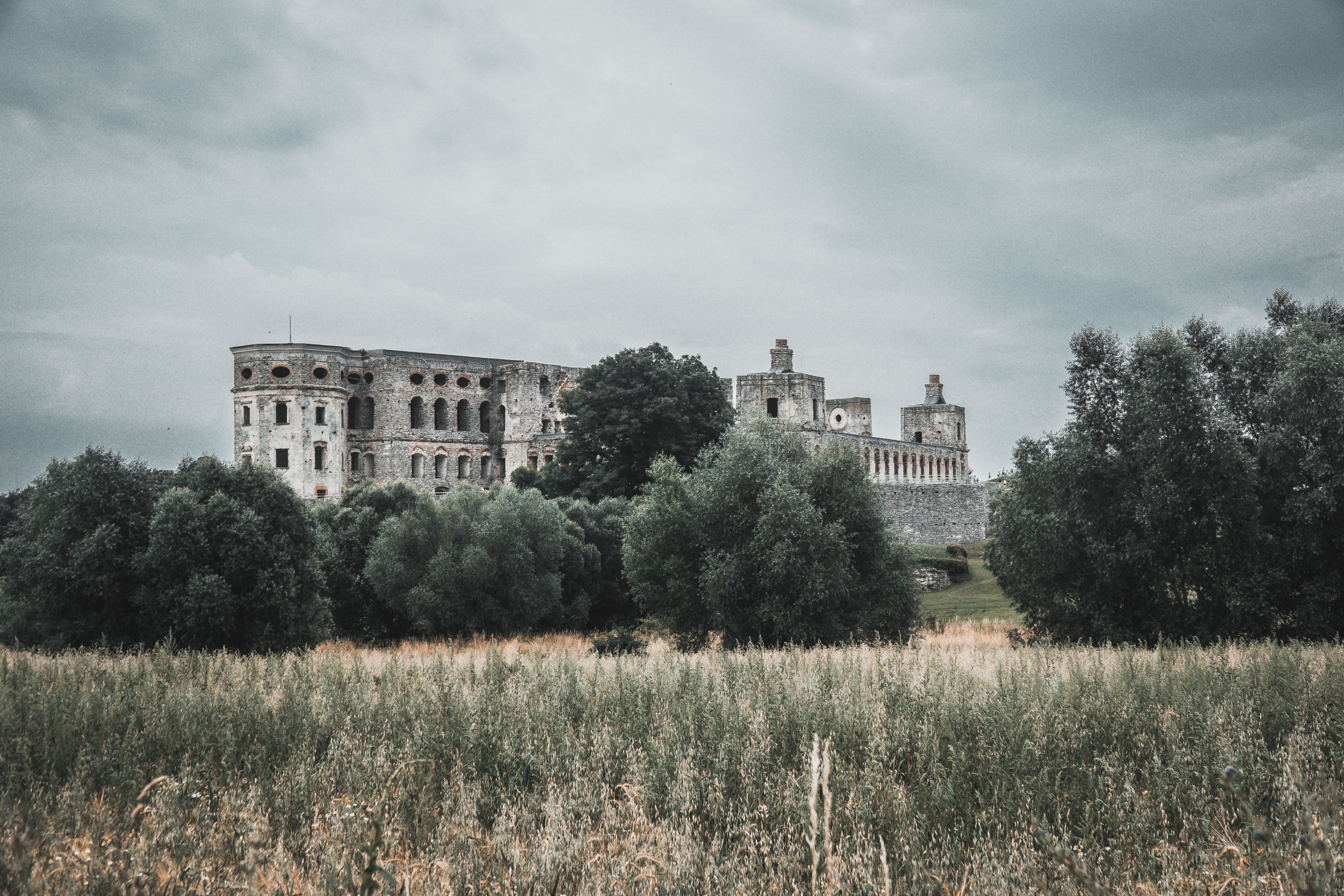 Castle Ruin and Field with Bushes · Free Stock Photo