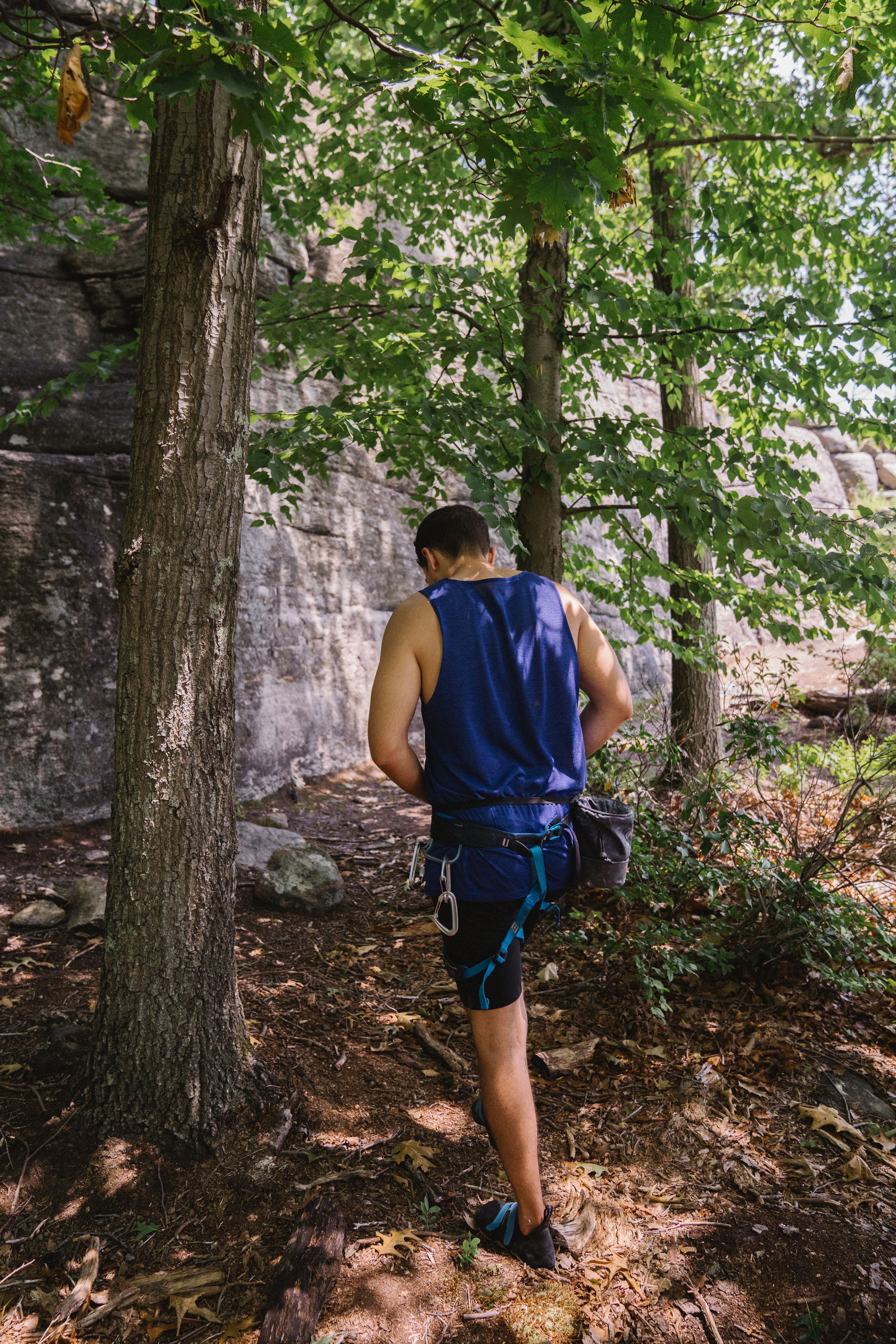 Man Standing Beside a Tree · Free Stock Photo