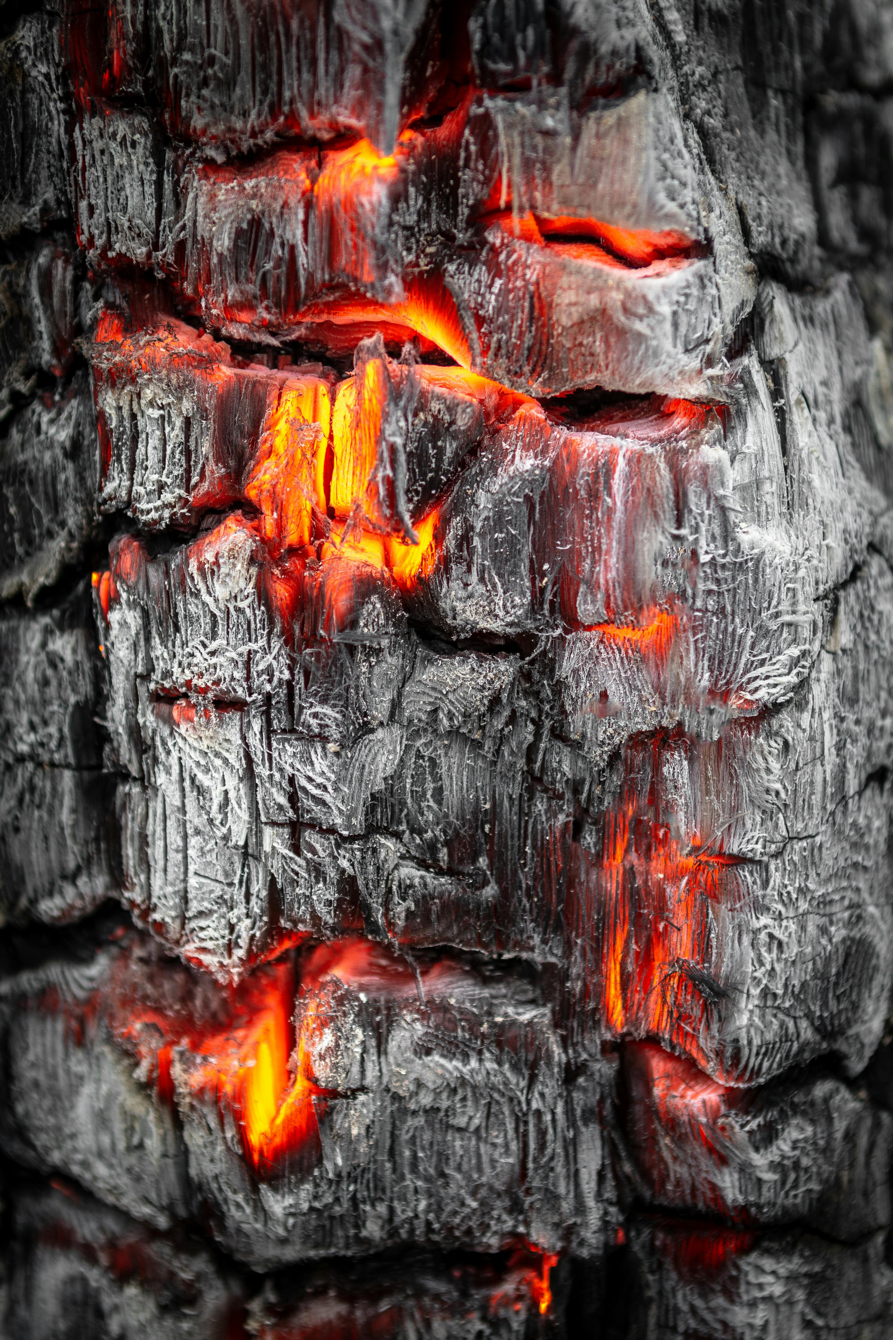 Close up of Burning Wood · Free Stock Photo