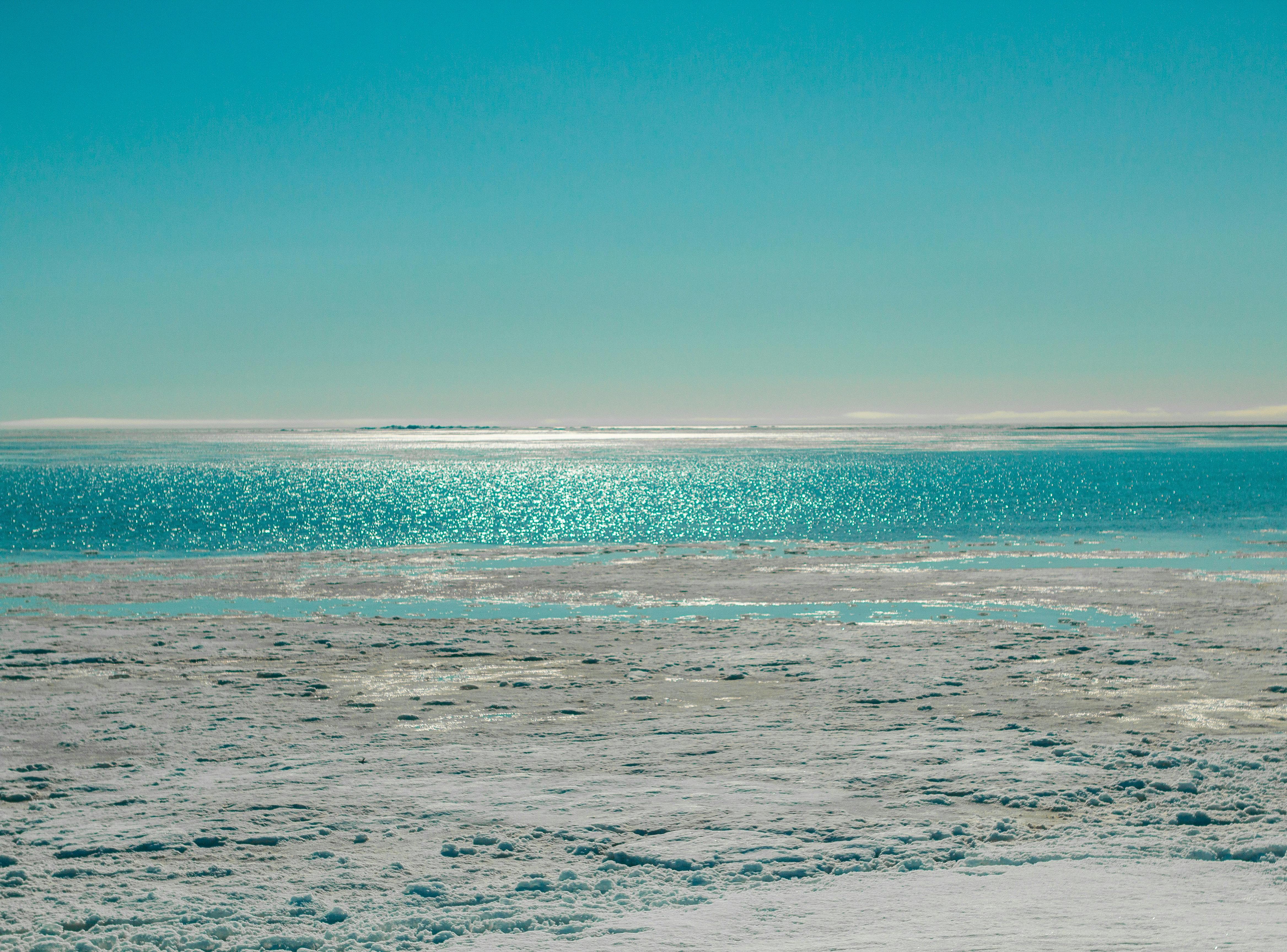 A View of a Beautiful Calm Shore · Free Stock Photo