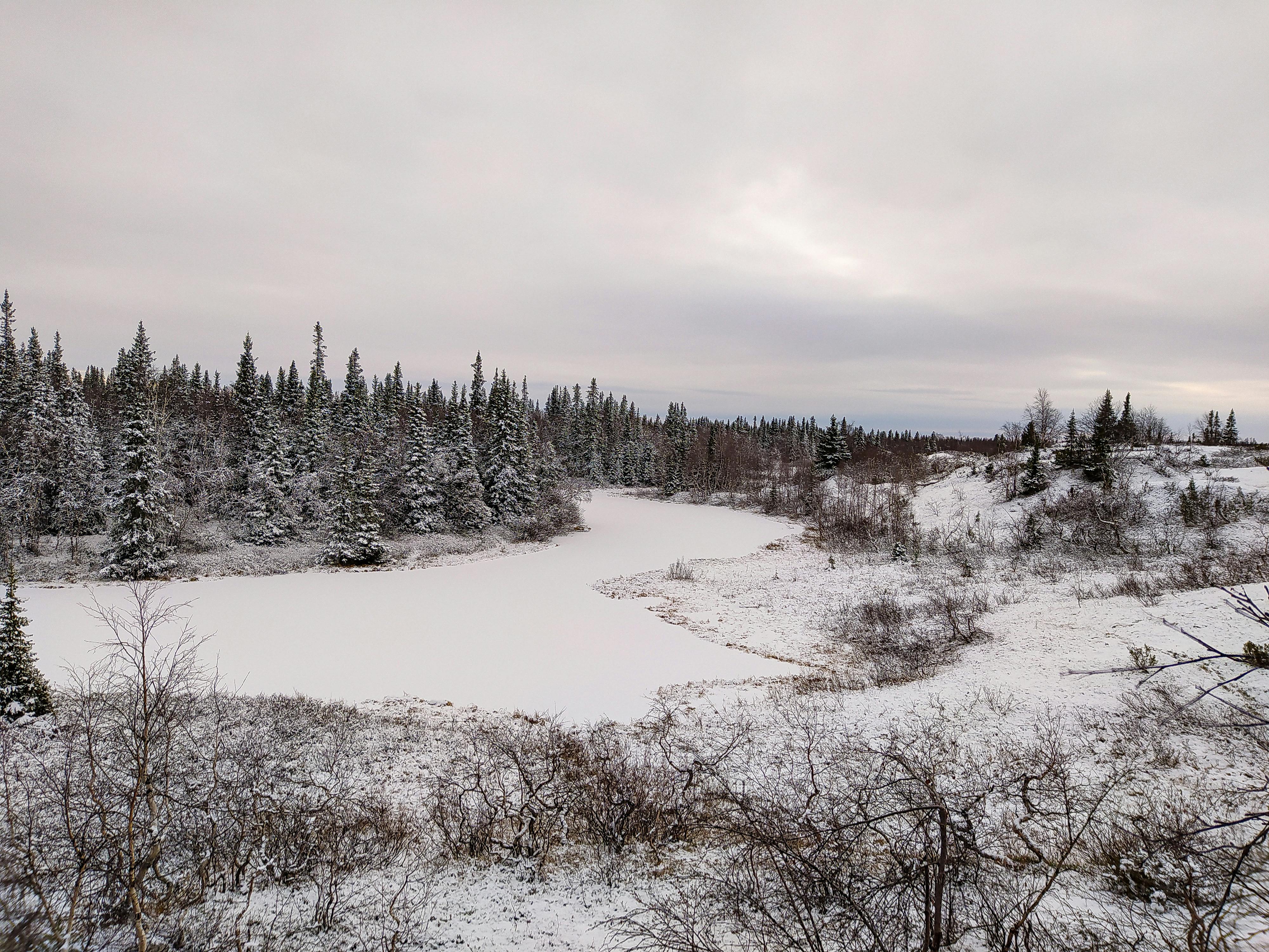 A Frozen Lake beside a Forest · Free Stock Photo