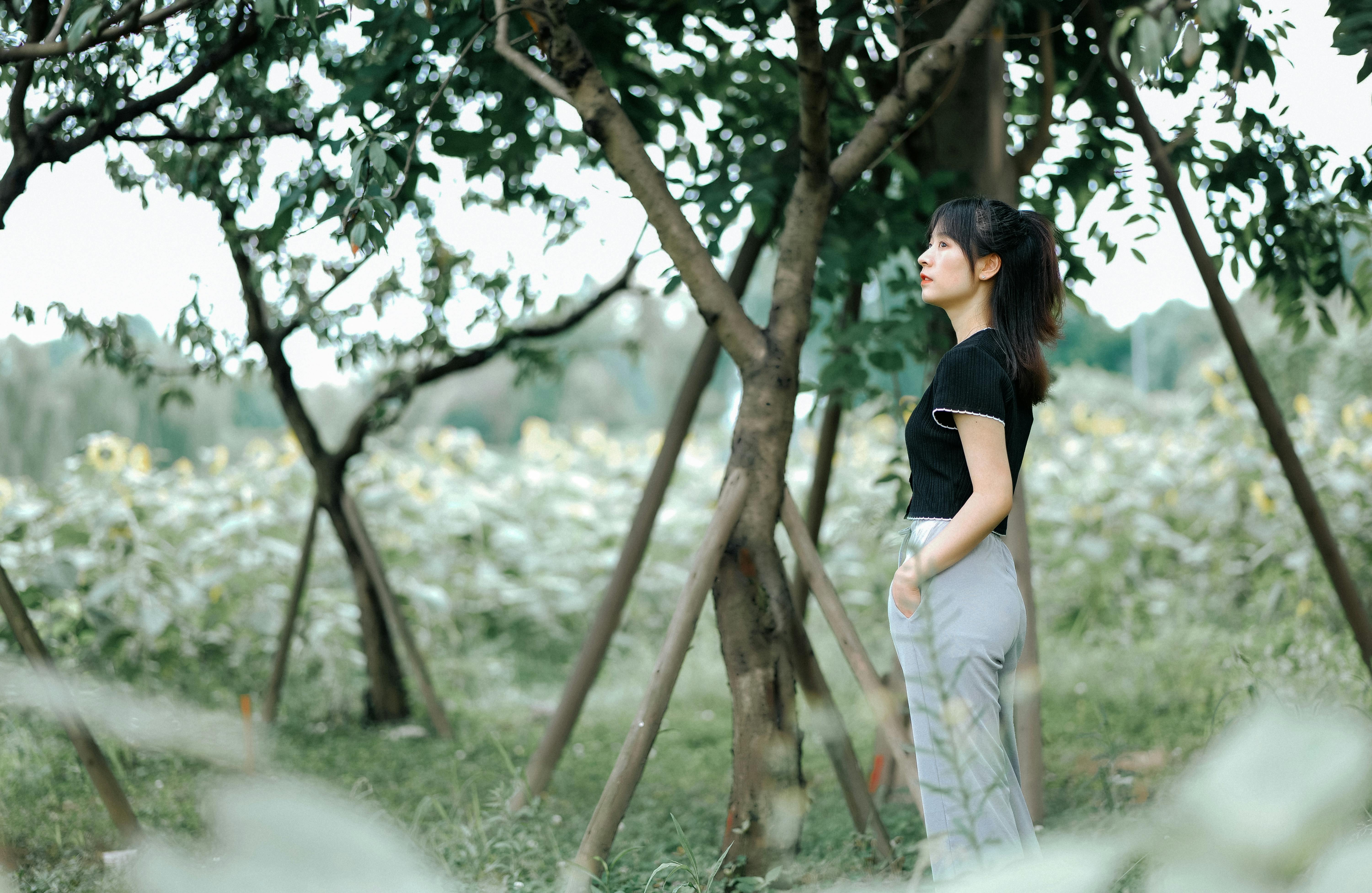 A Woman Standing Beside the Trees · Free Stock Photo