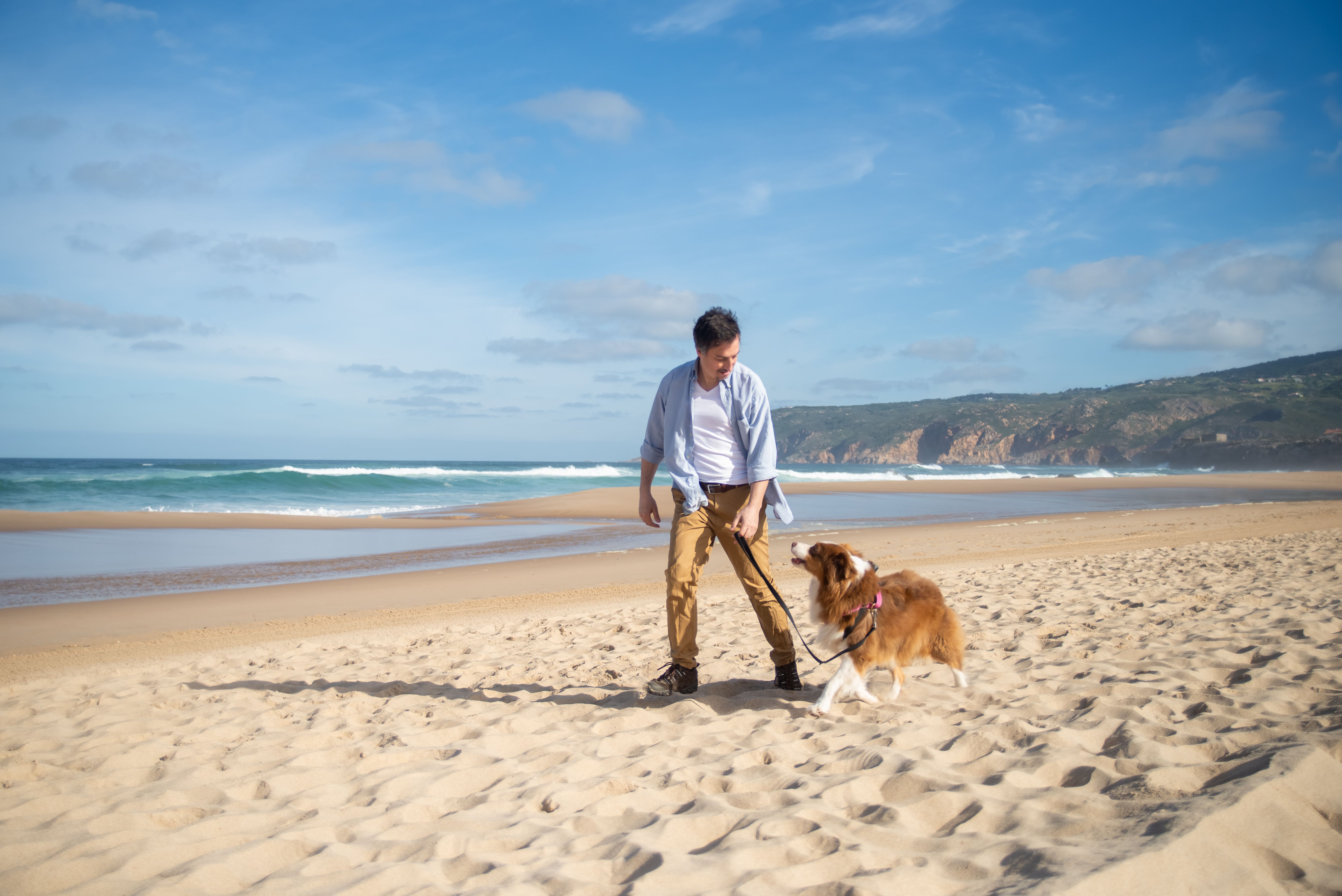 A Man with a Dog on the Beach · Free Stock Photo