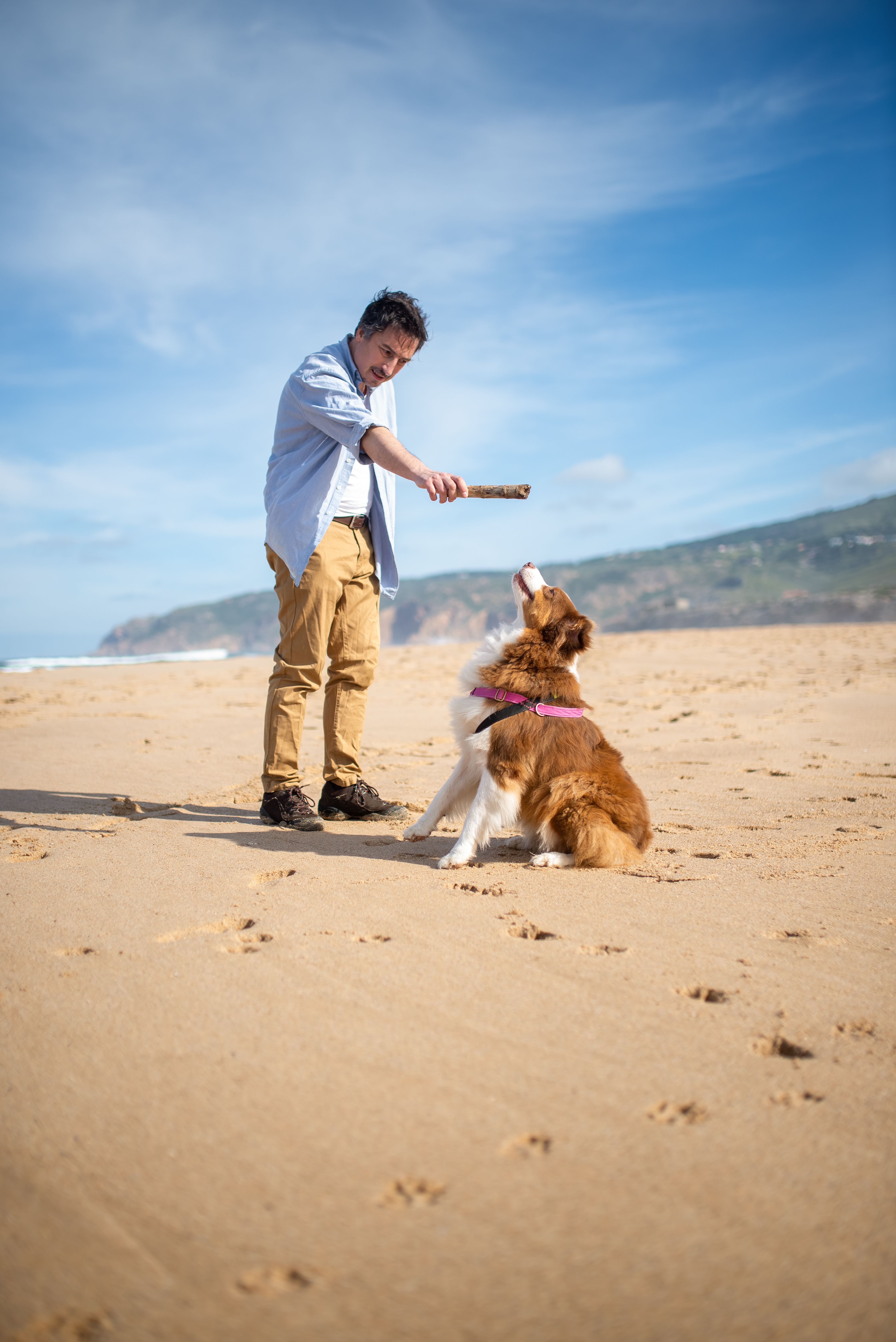 Man Feeding A Dog Photos, Download The BEST Free Man Feeding A Dog ...