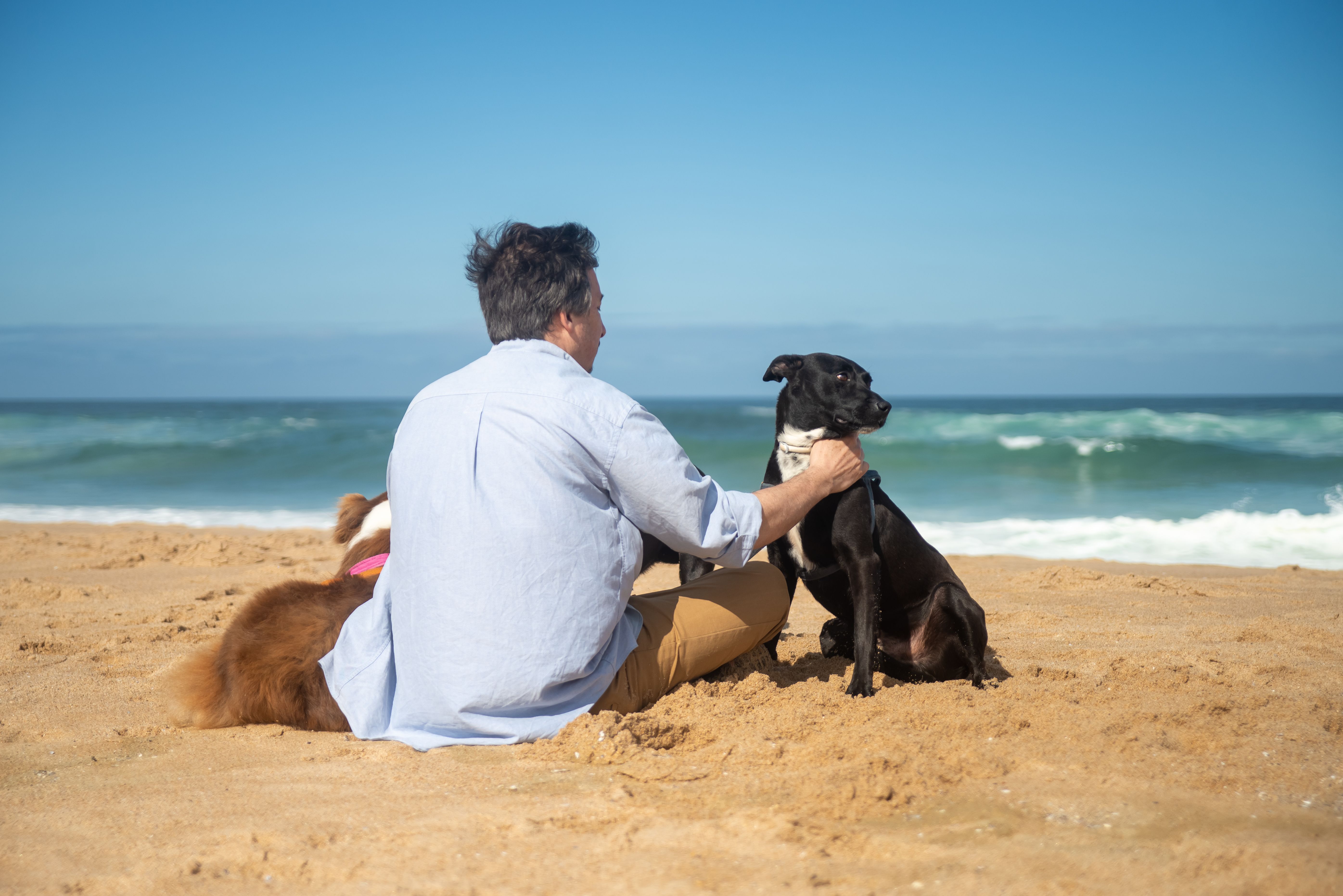 Dog Licking Man's Face · Free Stock Photo