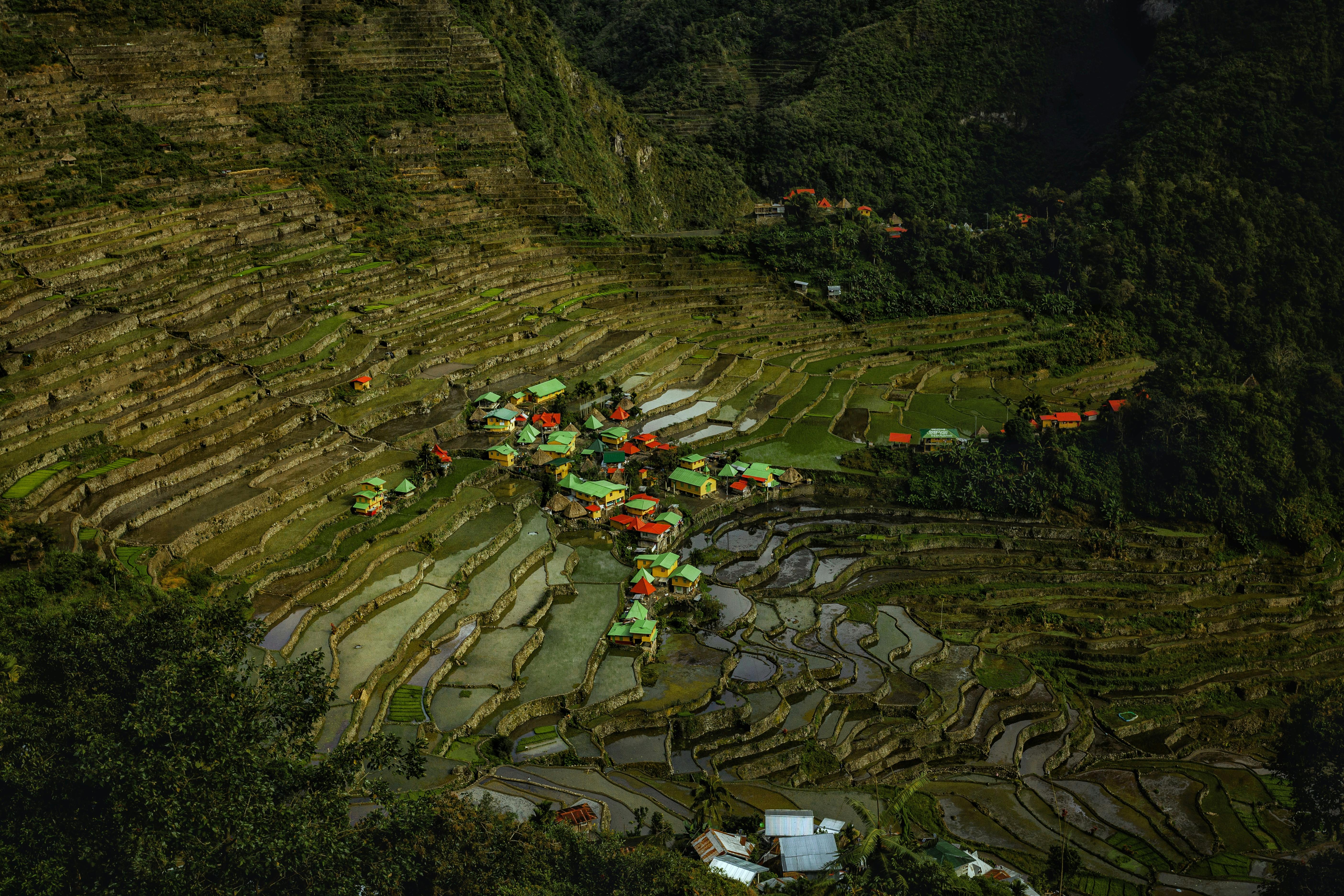 Aerial View of Rice Terraces · Free Stock Photo