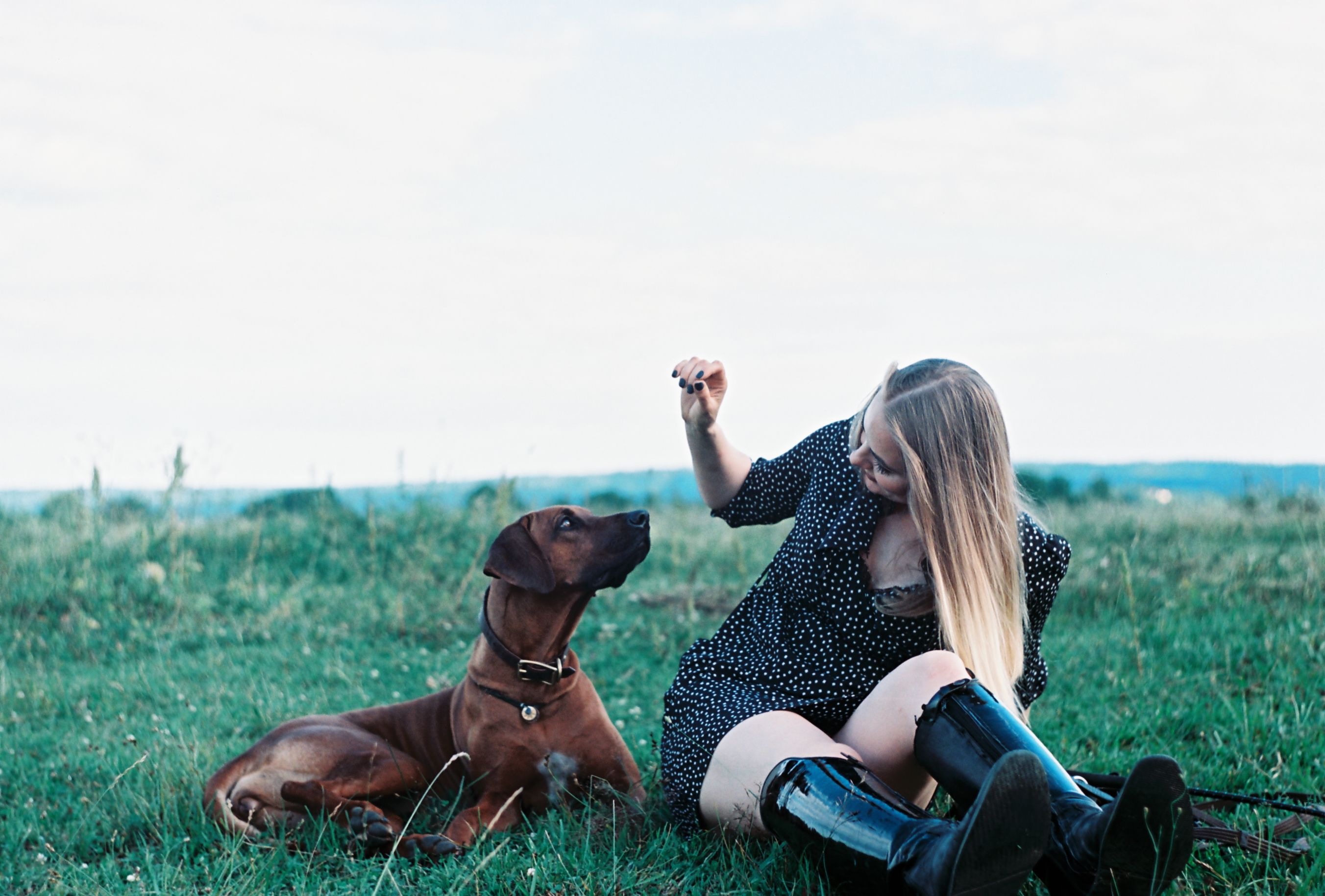 Woman holding a Dog · Free Stock Photo