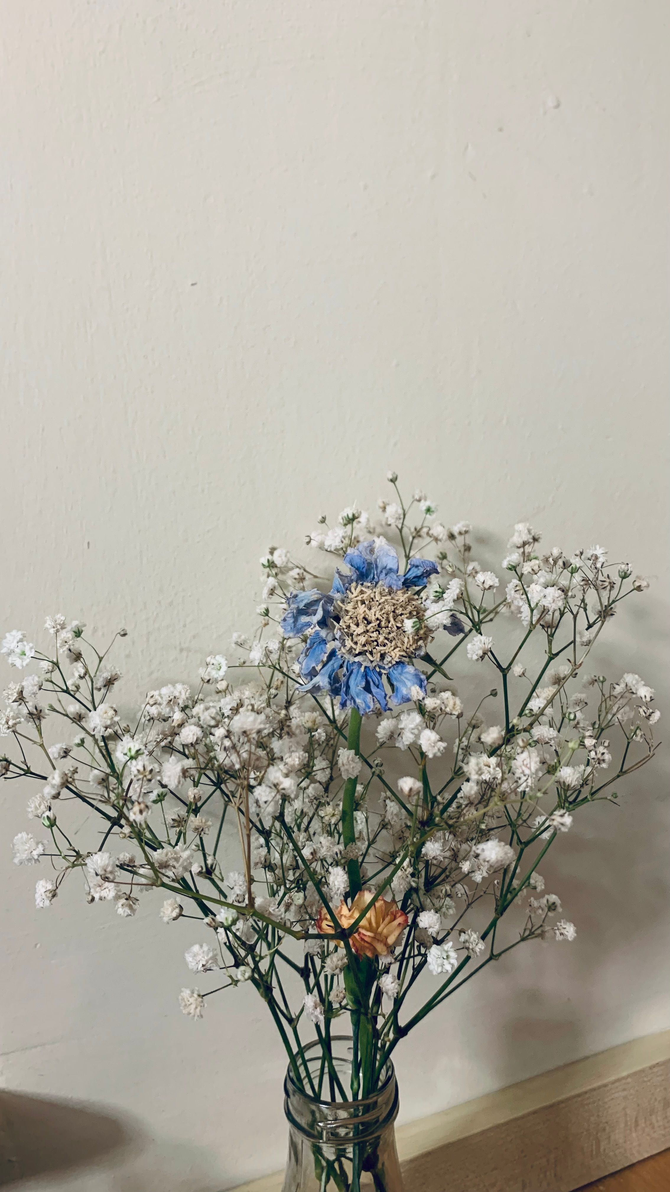 Flowers in a Glass Vase · Free Stock Photo