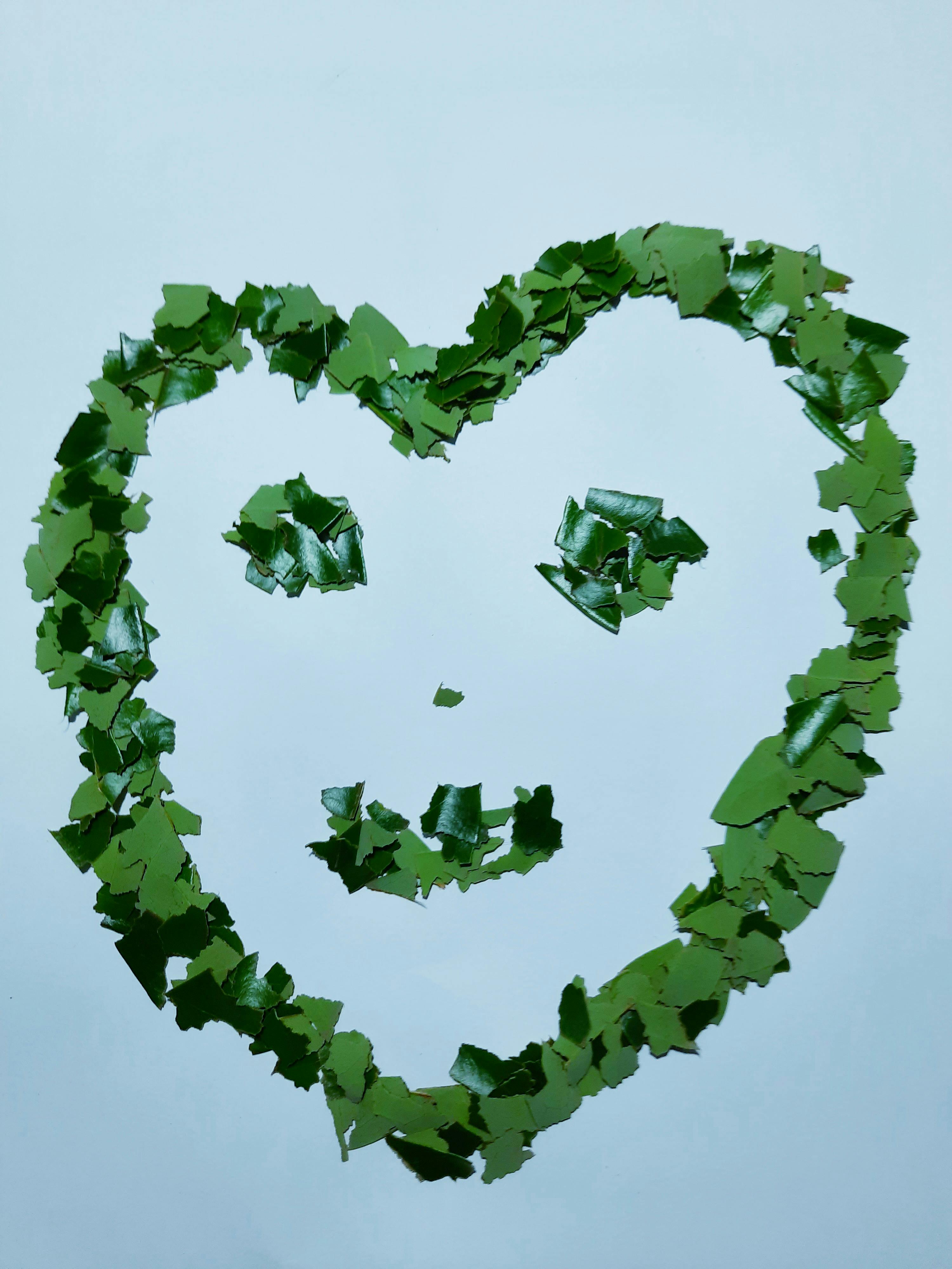 Ashish Oraon - 사진