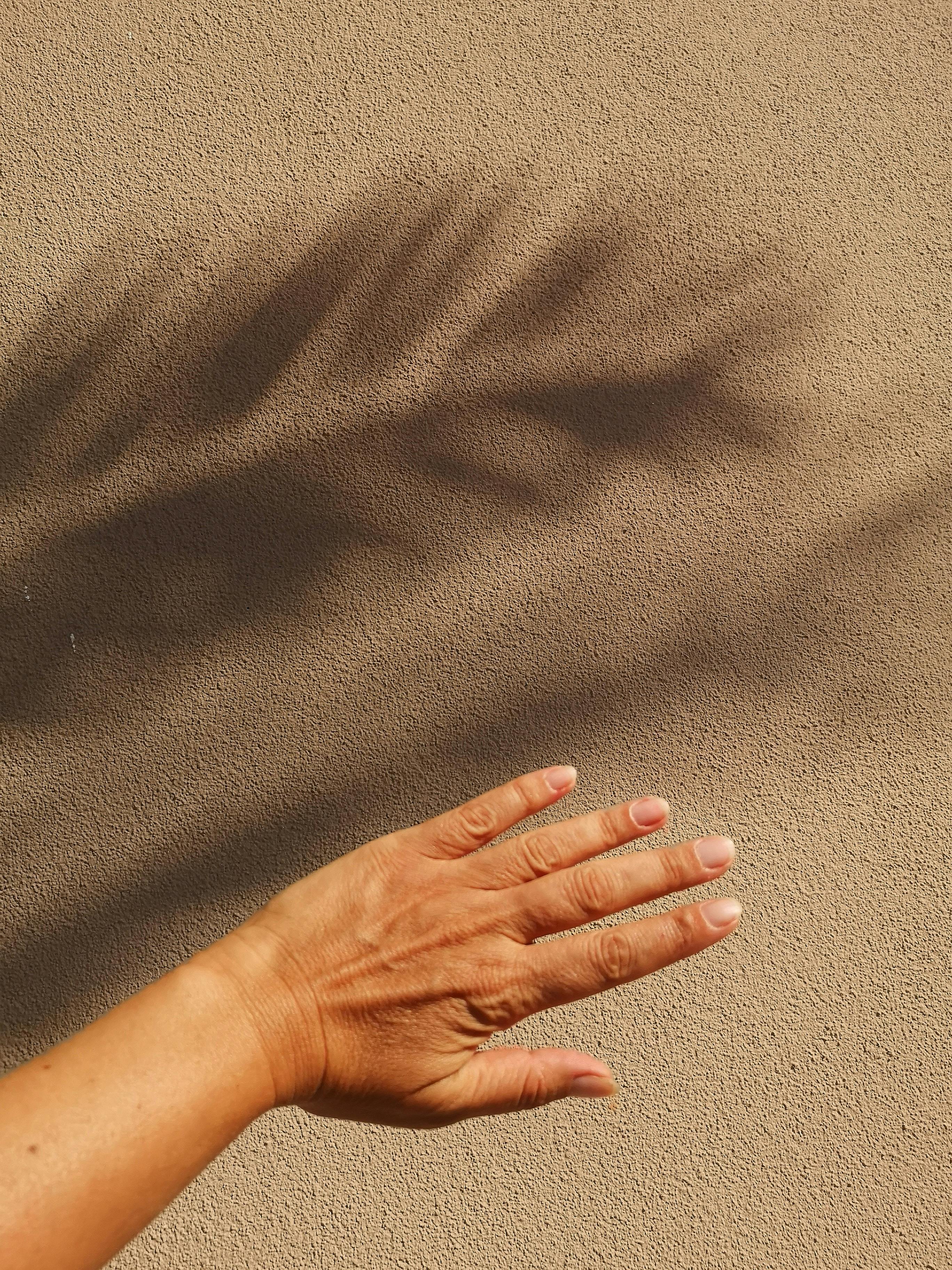 Persons Left Hand and Shadow of Leaves on Rough Surface · Free Stock Photo