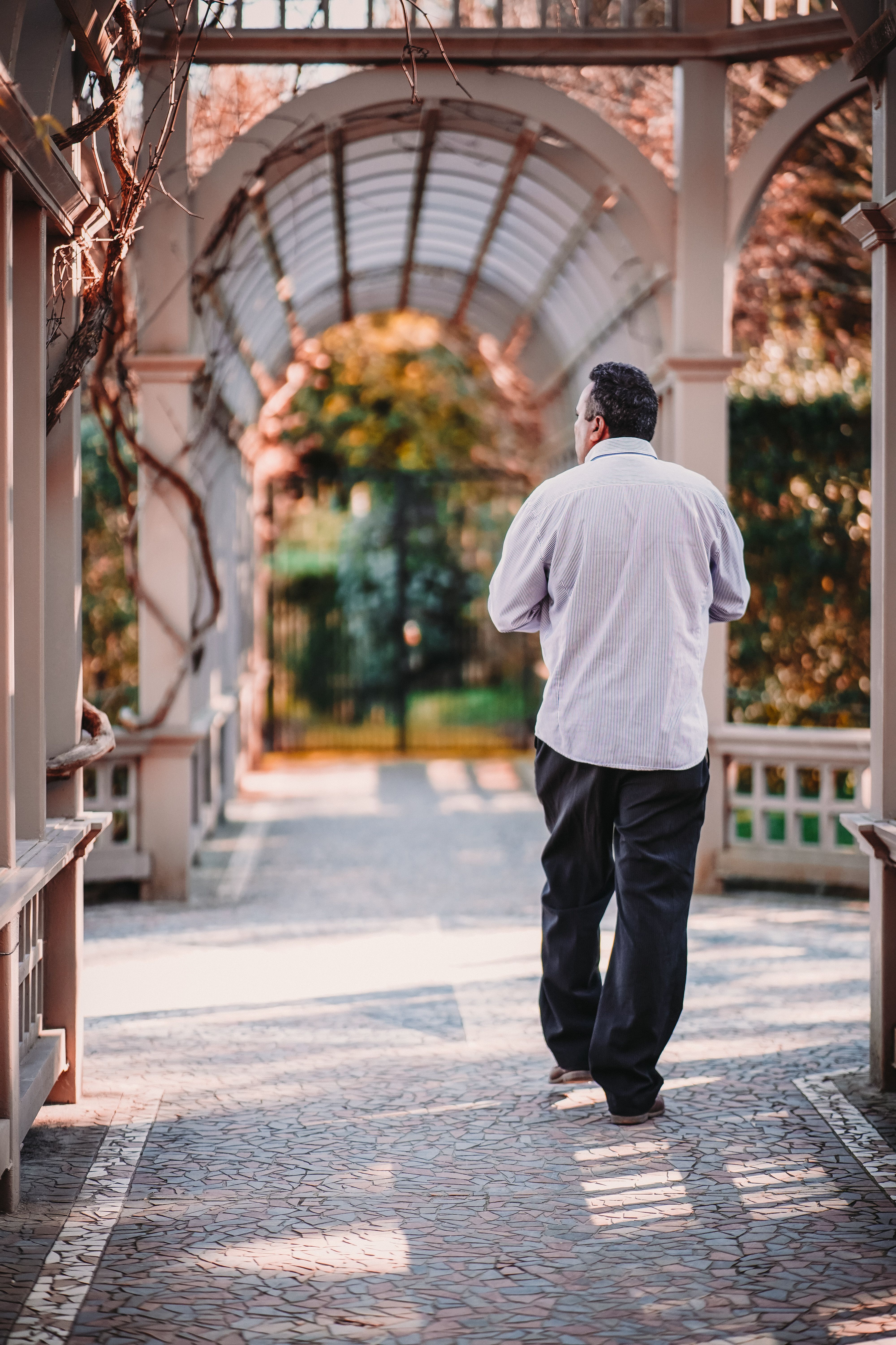 Back View of A Man Walking · Free Stock Photo