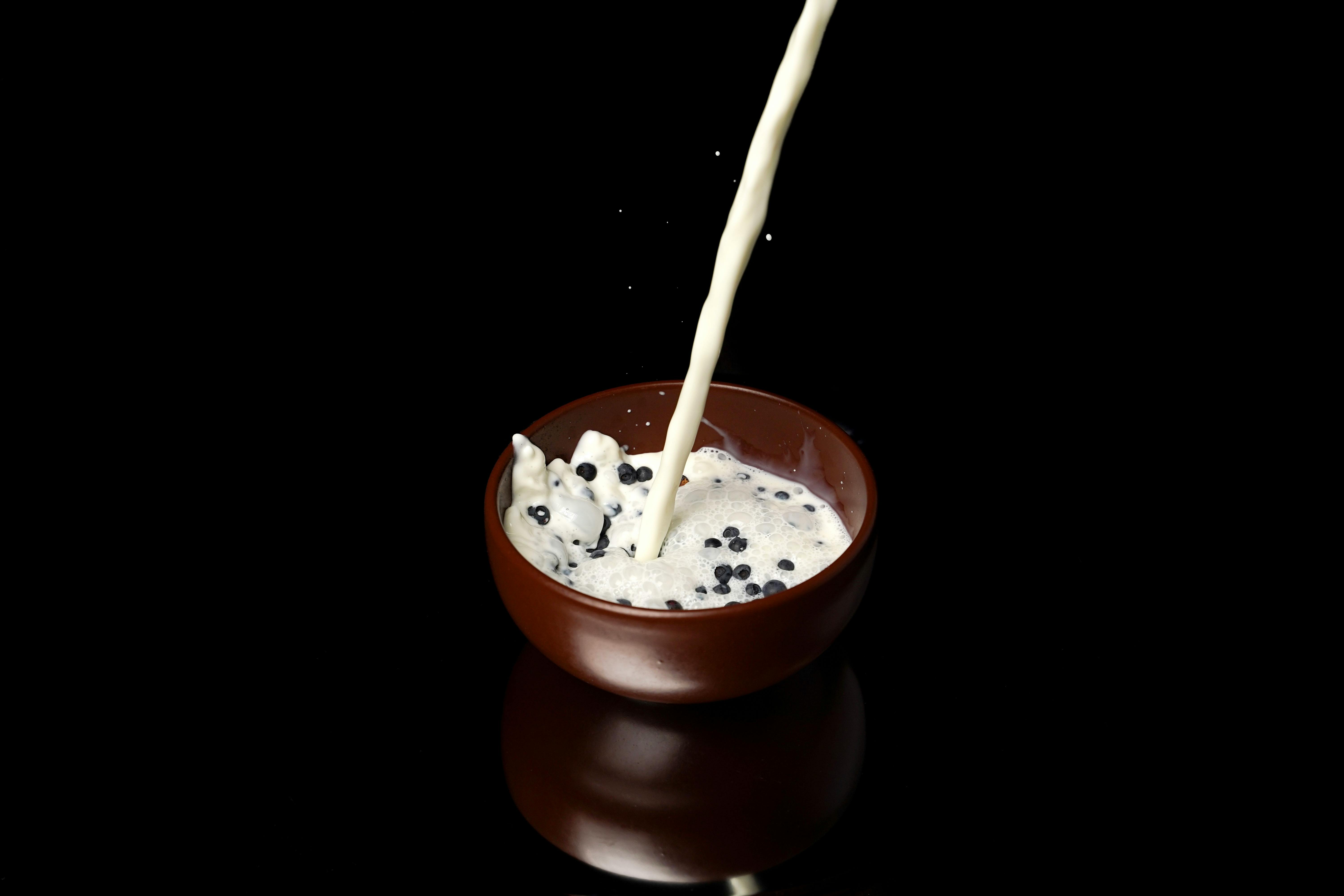 A Bowl Collecting Rubber Milk · Free Stock Photo