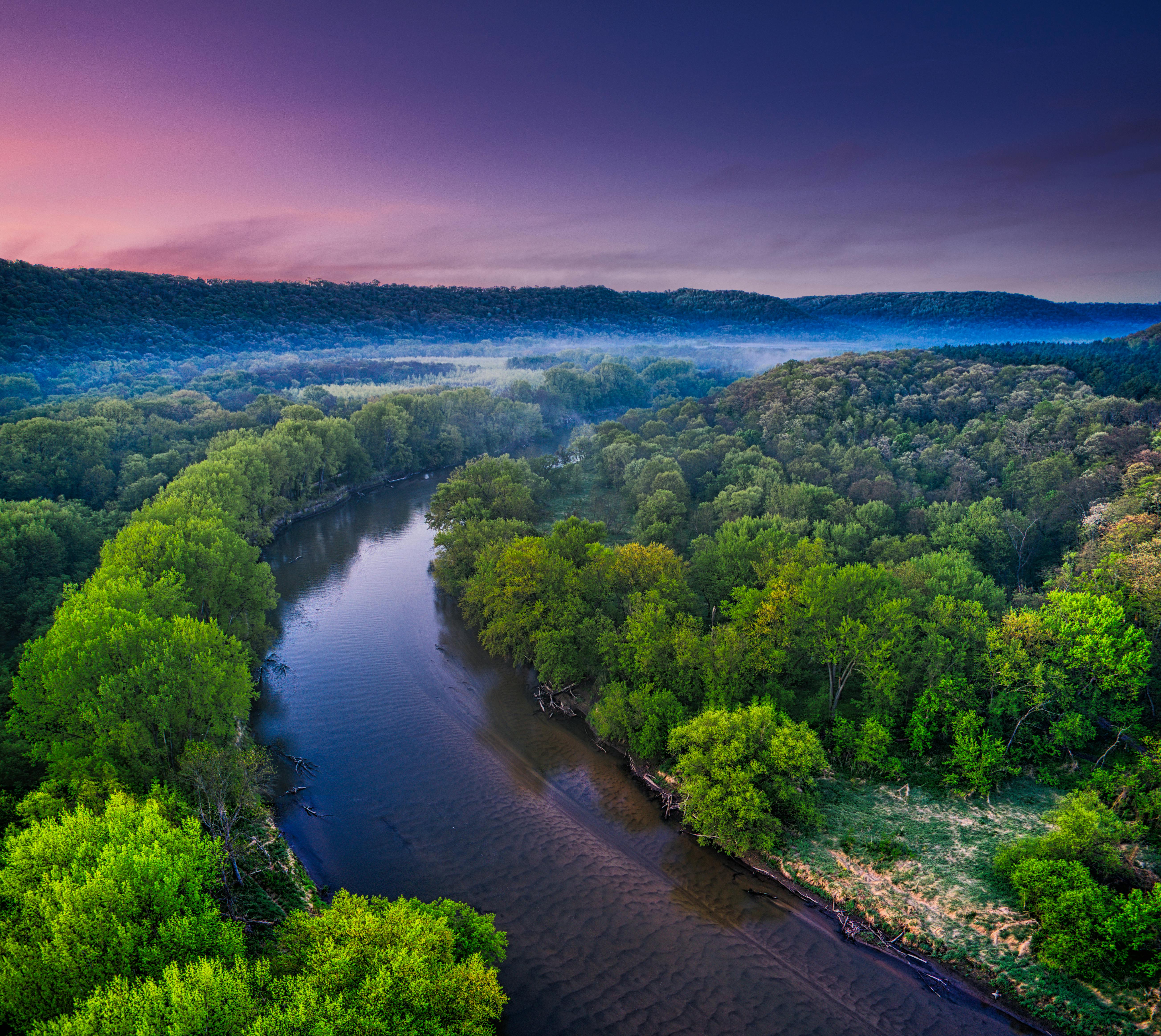 Green Forest · Free Stock Photo